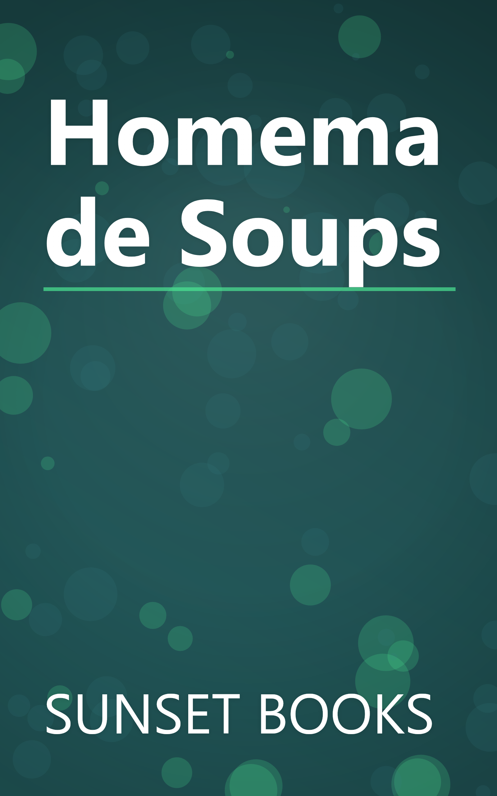 Homemade Soups book cover