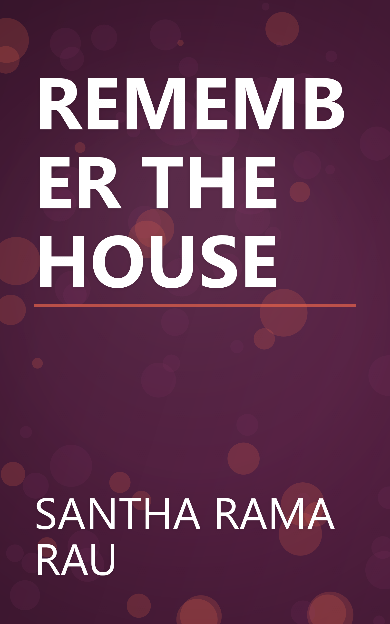 REMEMBER THE HOUSE book cover