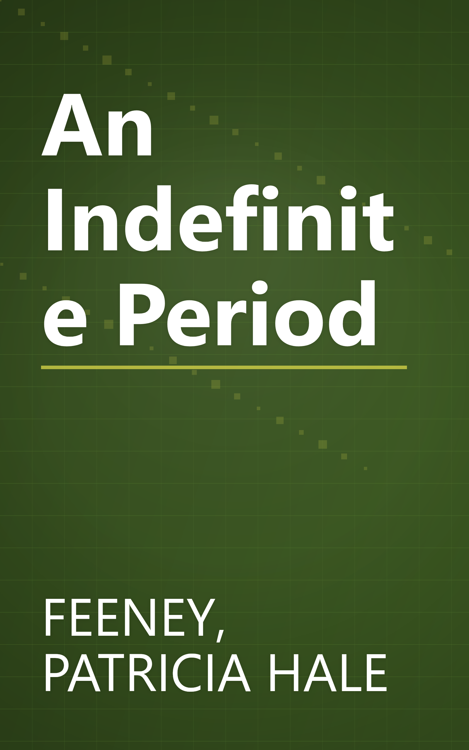 An Indefinite Period book cover