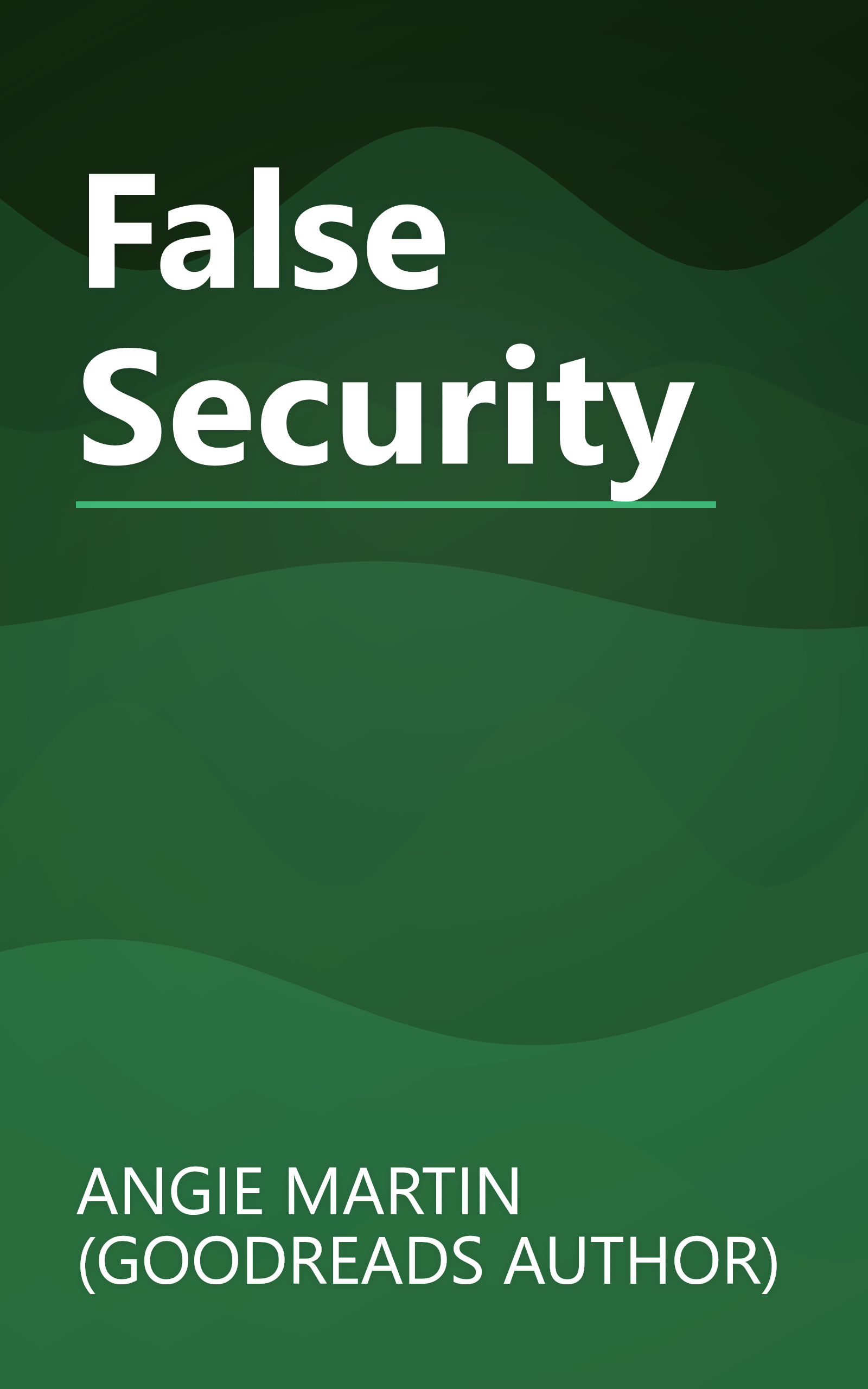 False Security book cover