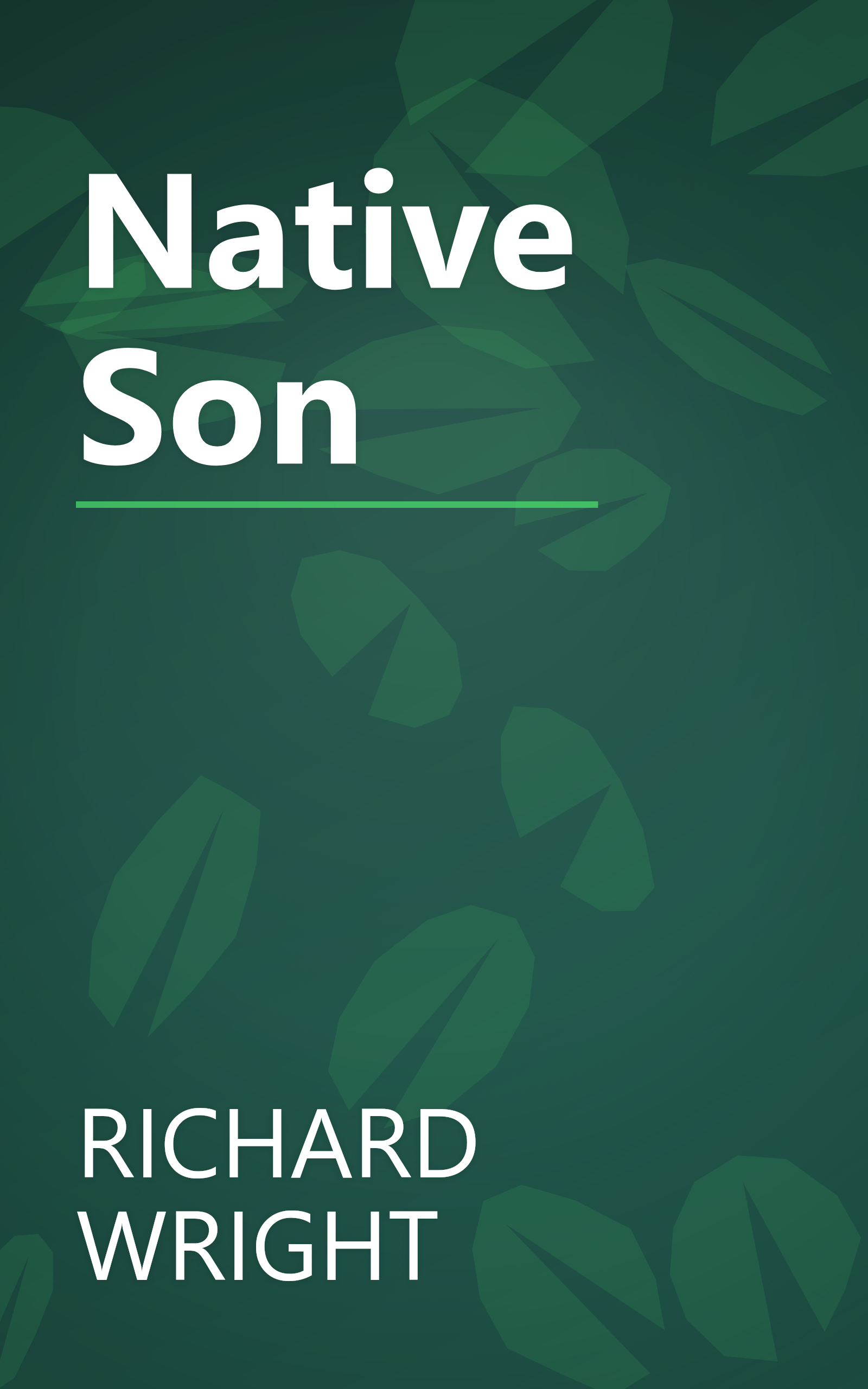 Native Son book cover
