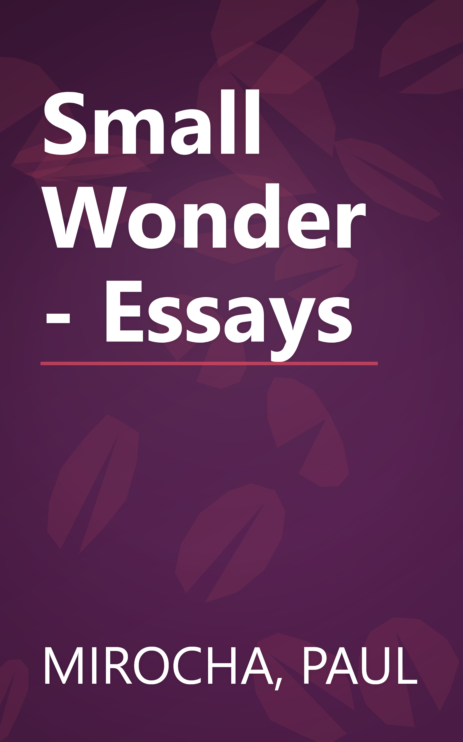 Small Wonder - Essays book cover