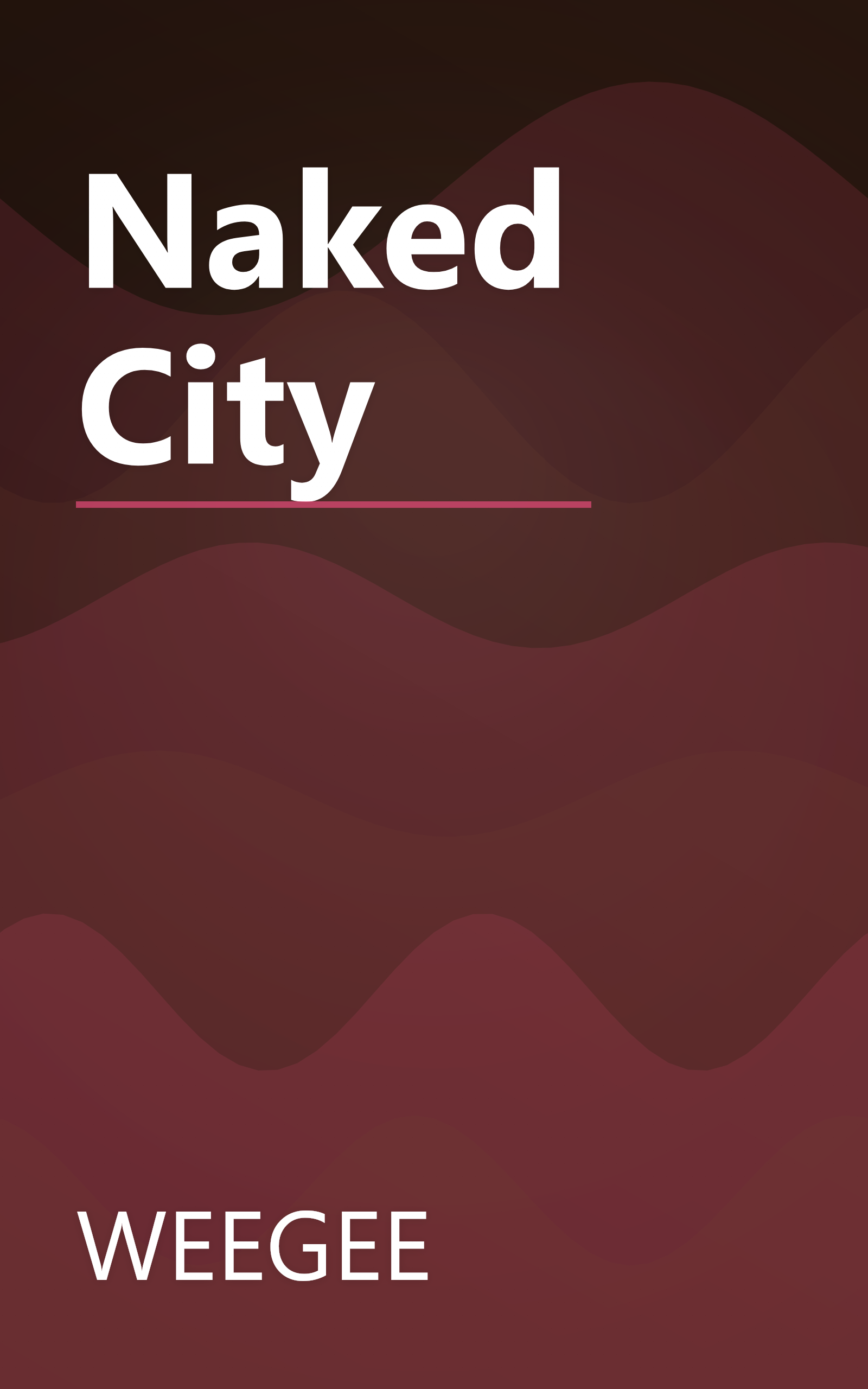 Naked City book cover
