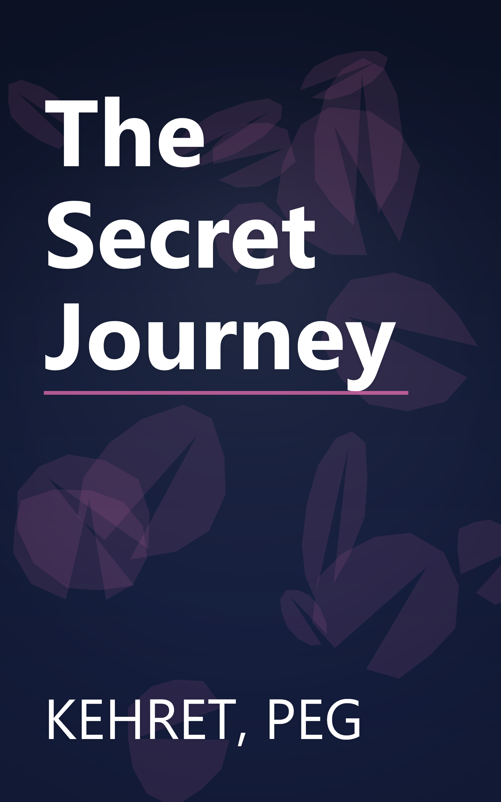 The Secret Journey book cover
