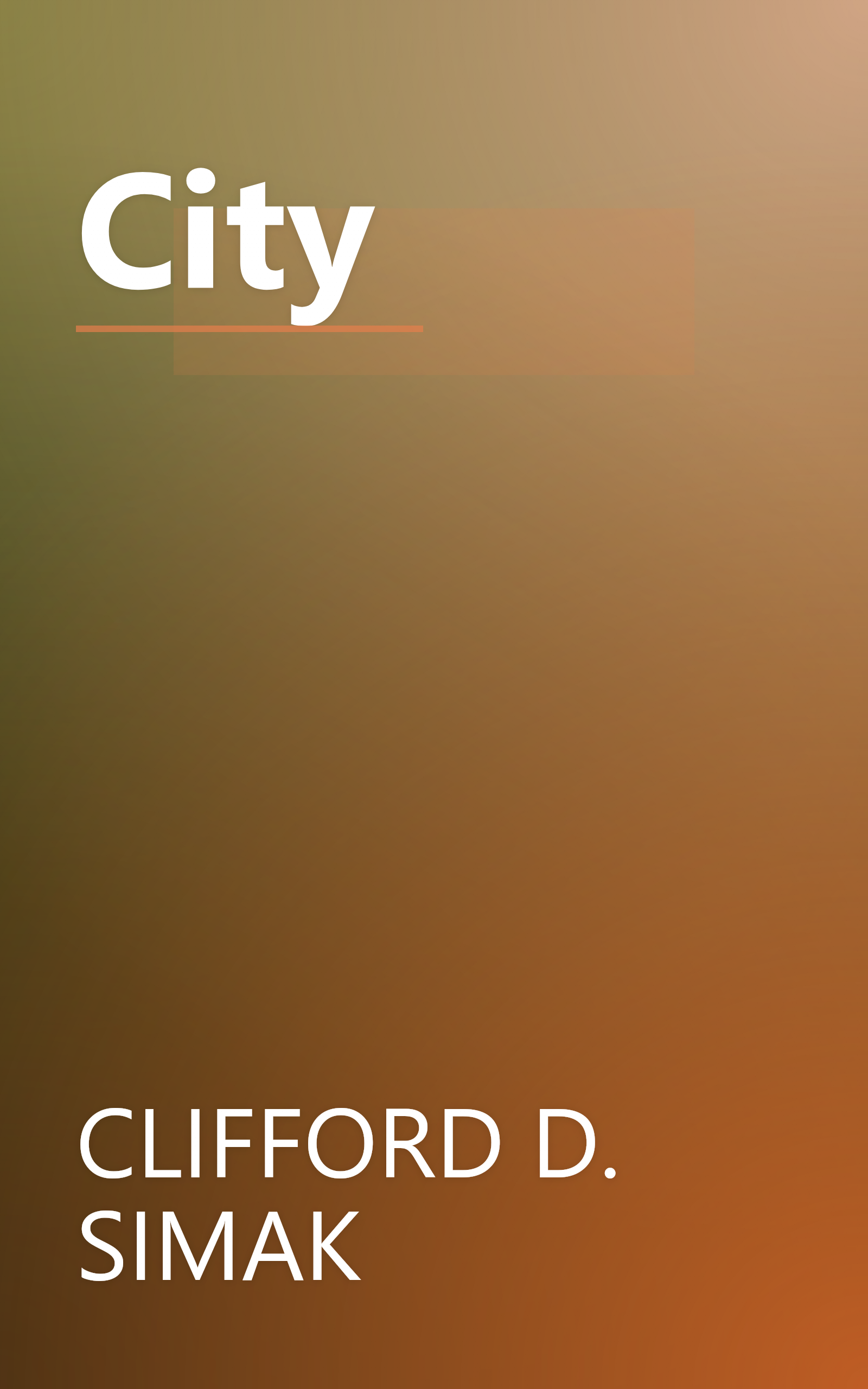 City book cover