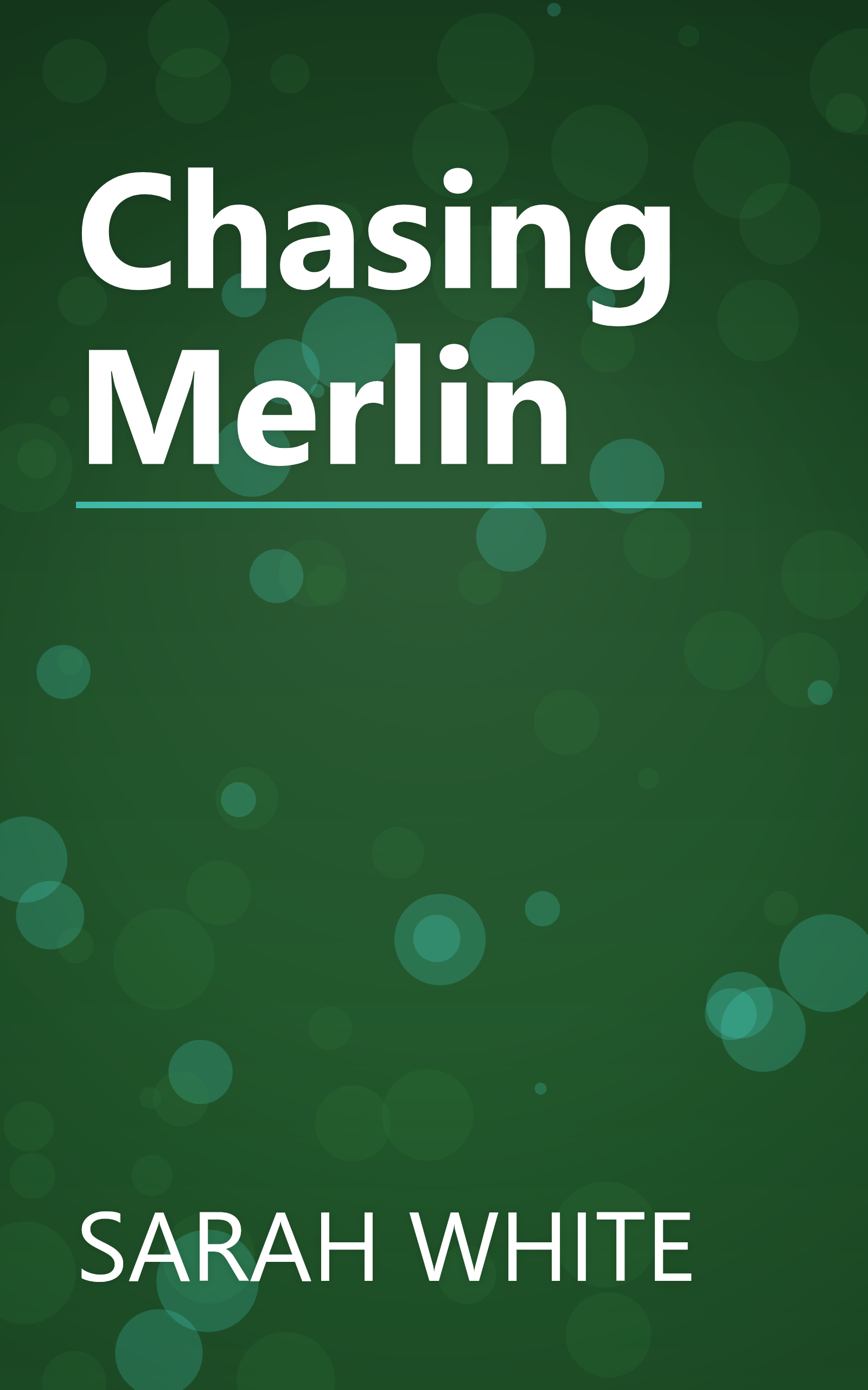 Chasing Merlin book cover