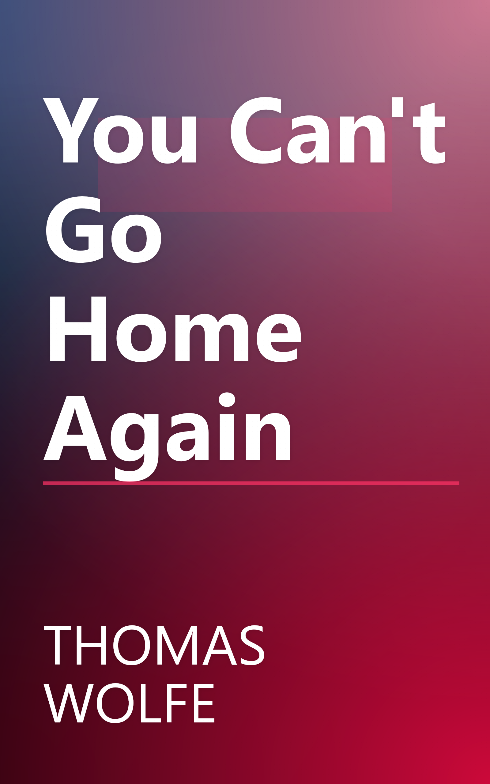 You Can't Go Home Again book cover