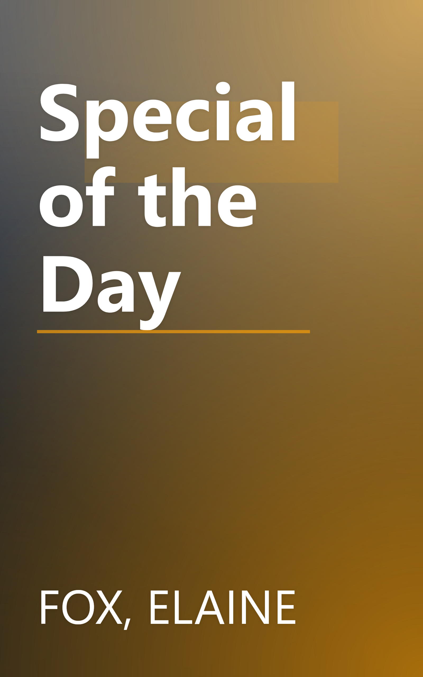 Special of the Day book cover