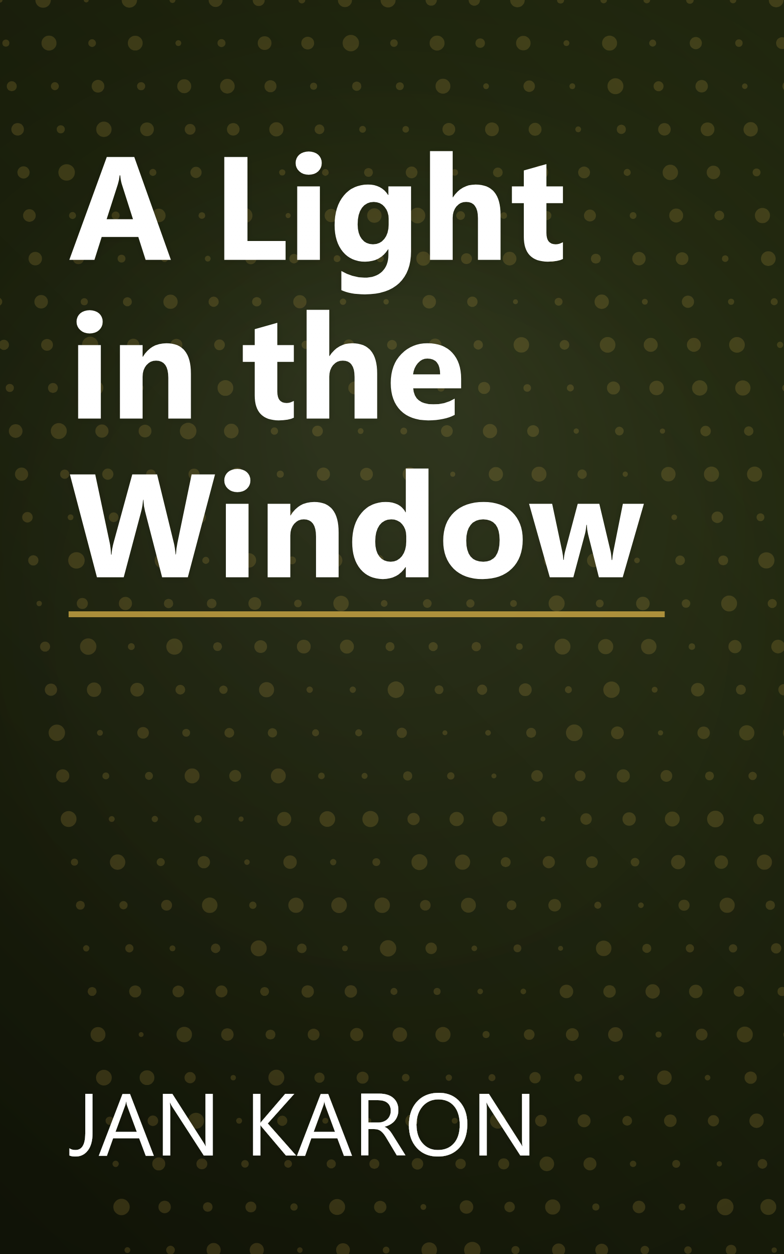 A Light in the Window book cover