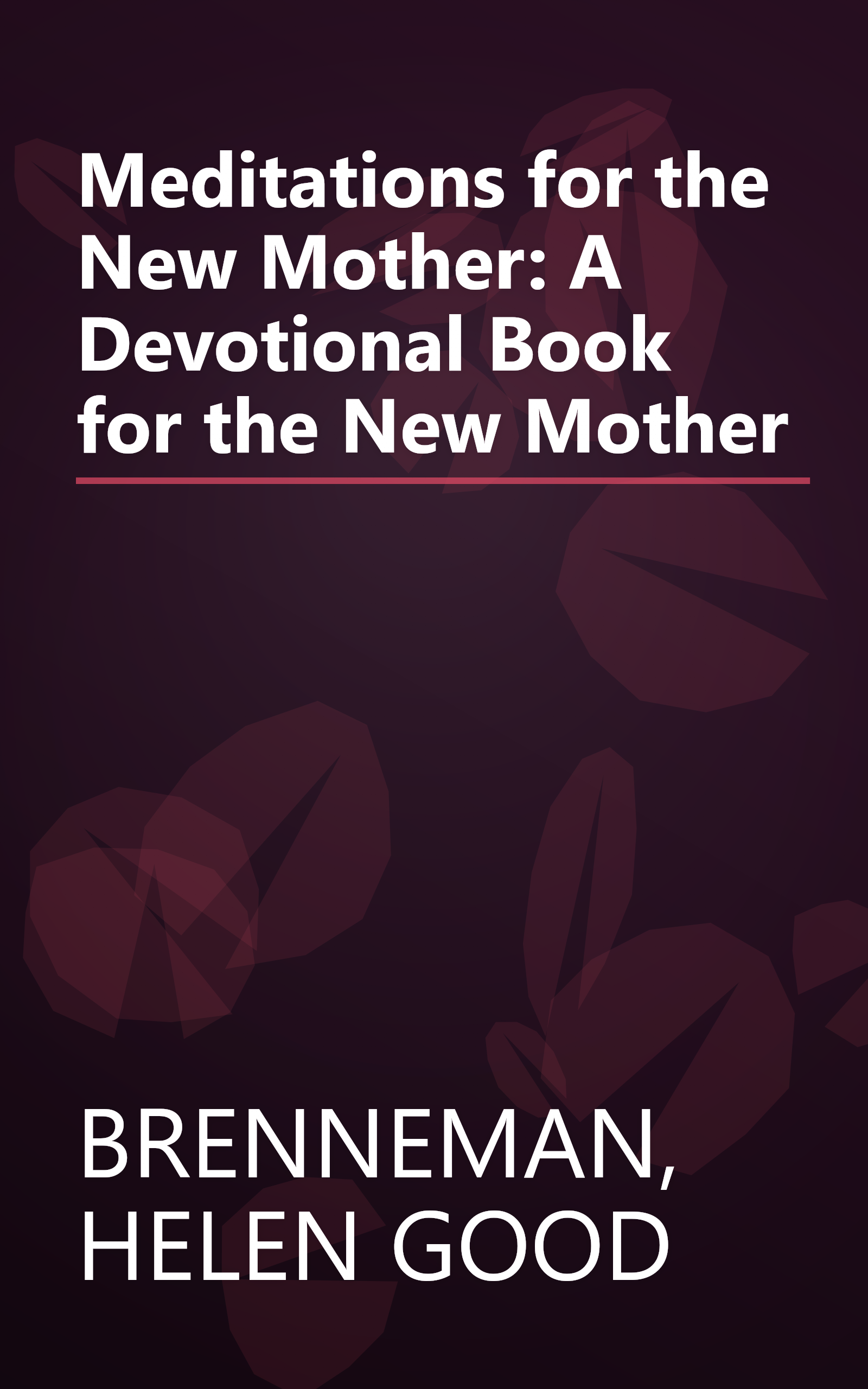 Meditations for the New Mother: A Devotional Book for the New Mother book cover