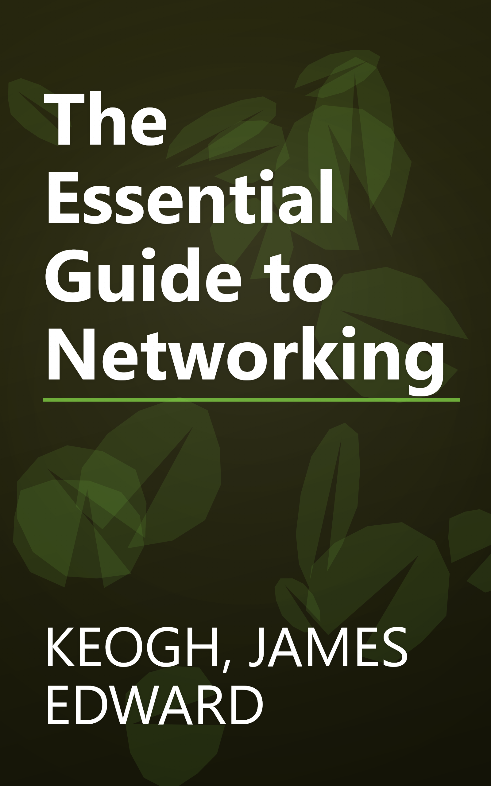 The Essential Guide to Networking book cover