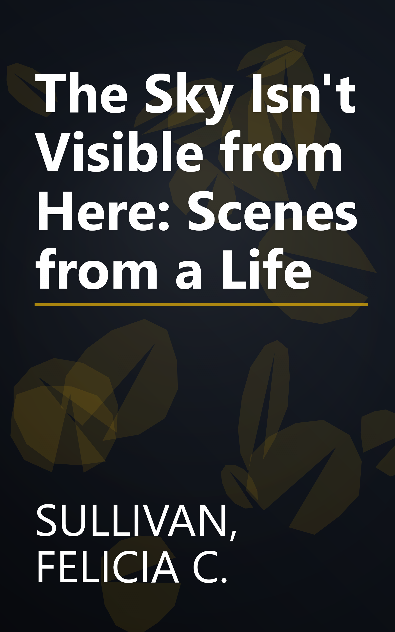 The Sky Isn't Visible from Here: Scenes from a Life book cover