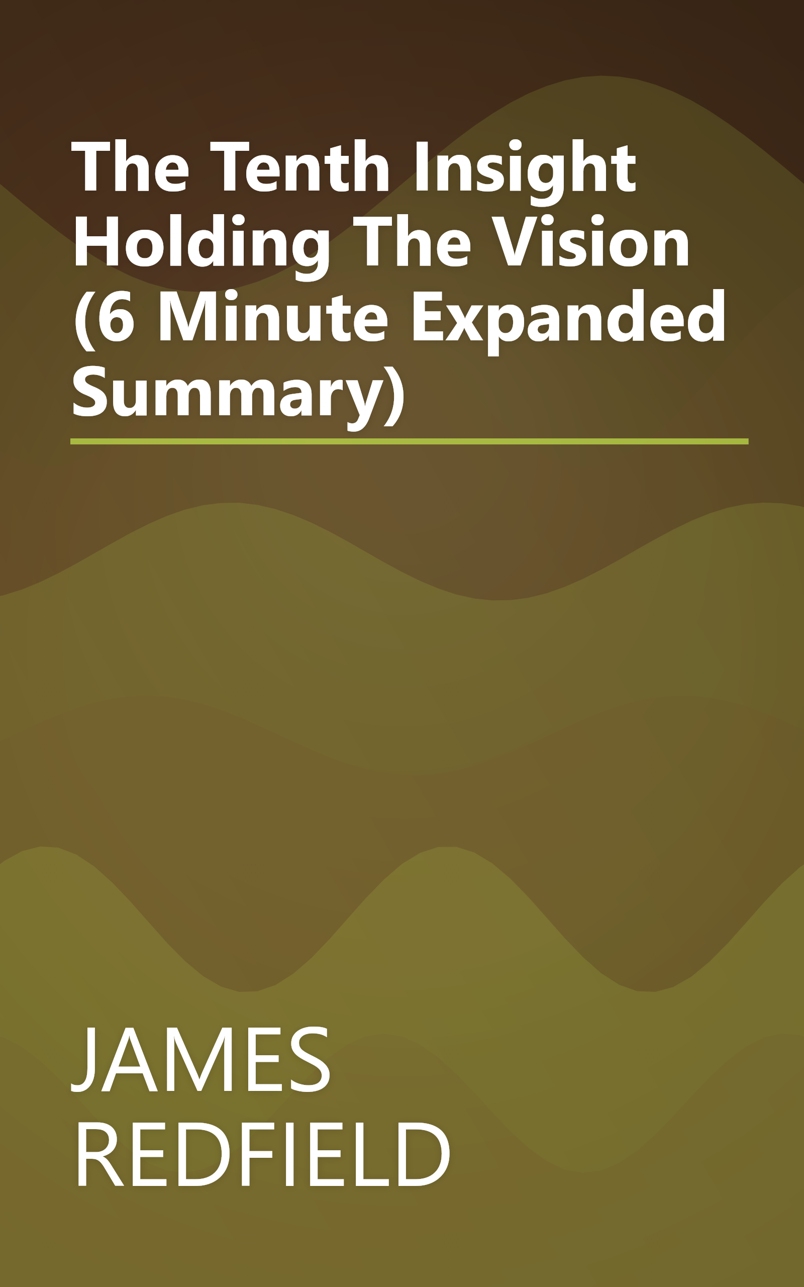 The Tenth Insight  Holding The Vision (6 Minute   Expanded Summary) book cover