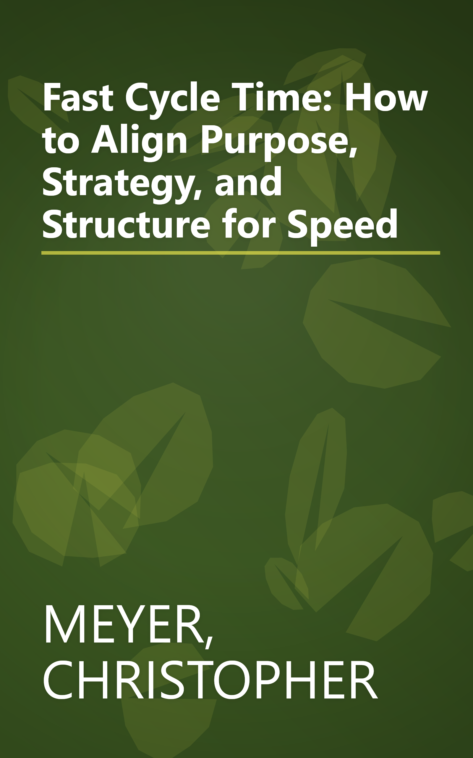Fast Cycle Time: How to Align Purpose, Strategy, and Structure for Speed book cover