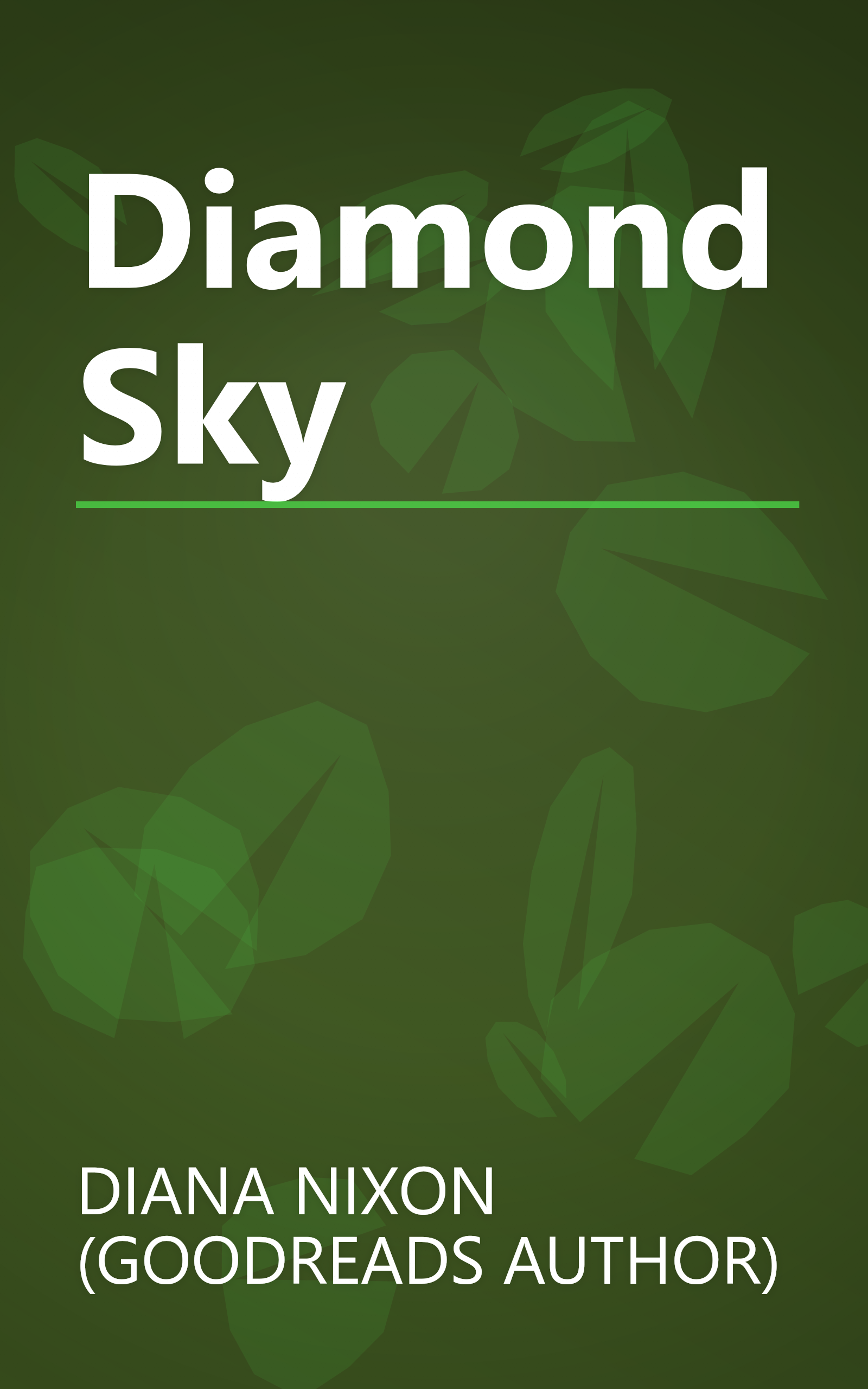 Diamond Sky book cover