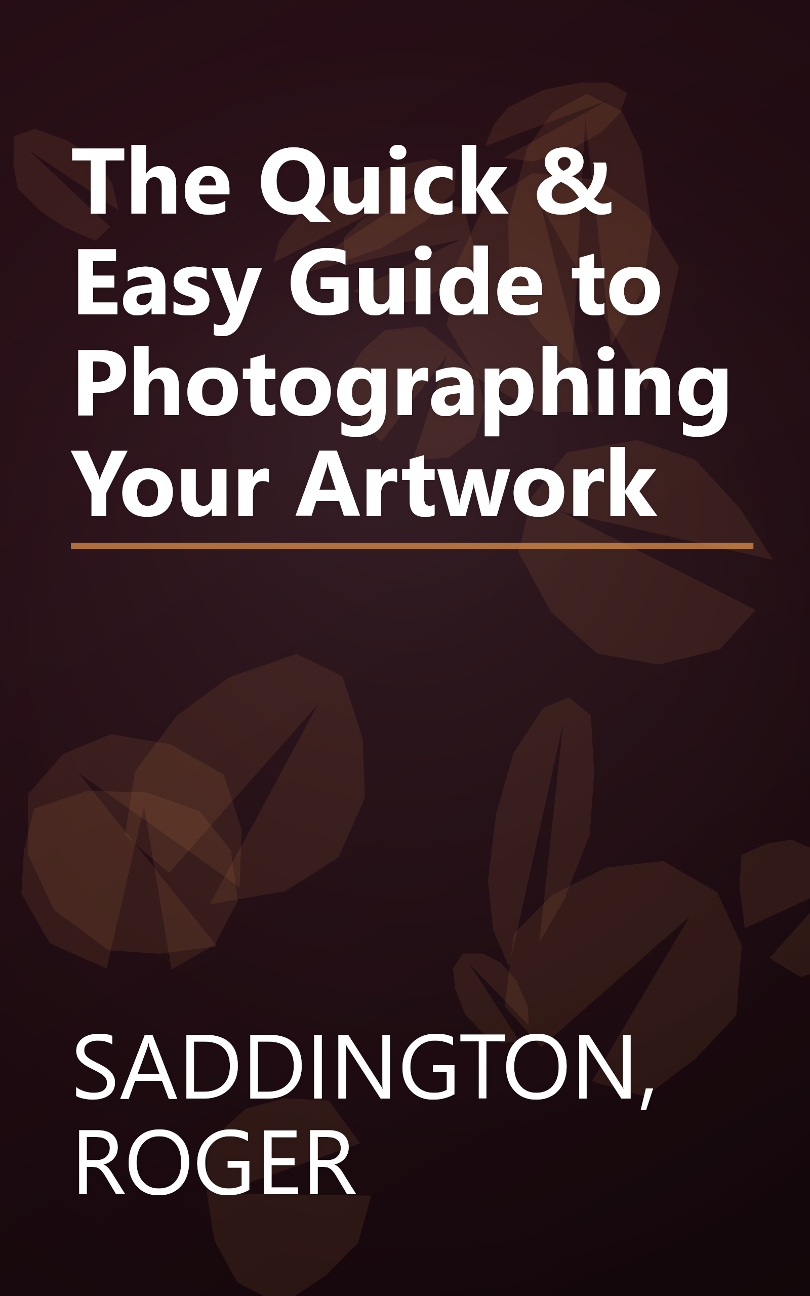 The Quick & Easy Guide to Photographing Your Artwork book cover
