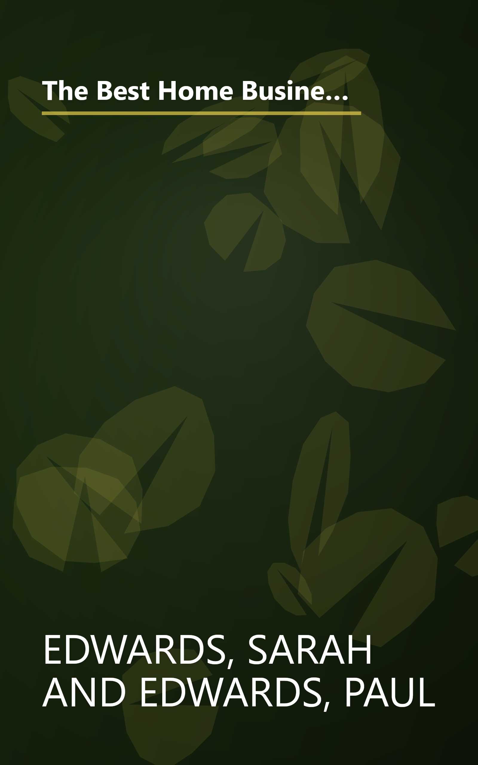 The Best Home Businesses for the 21st Century: The Inside Information You Need to Know to Select a Home-Based Business That's book cover