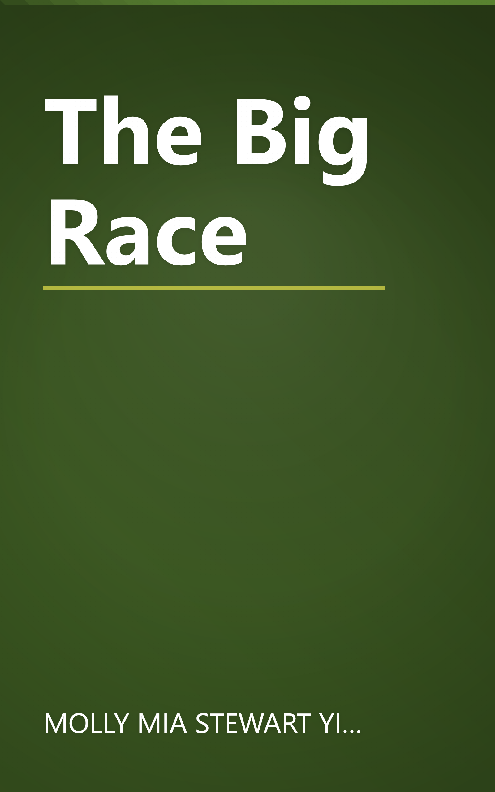 The Big Race book cover