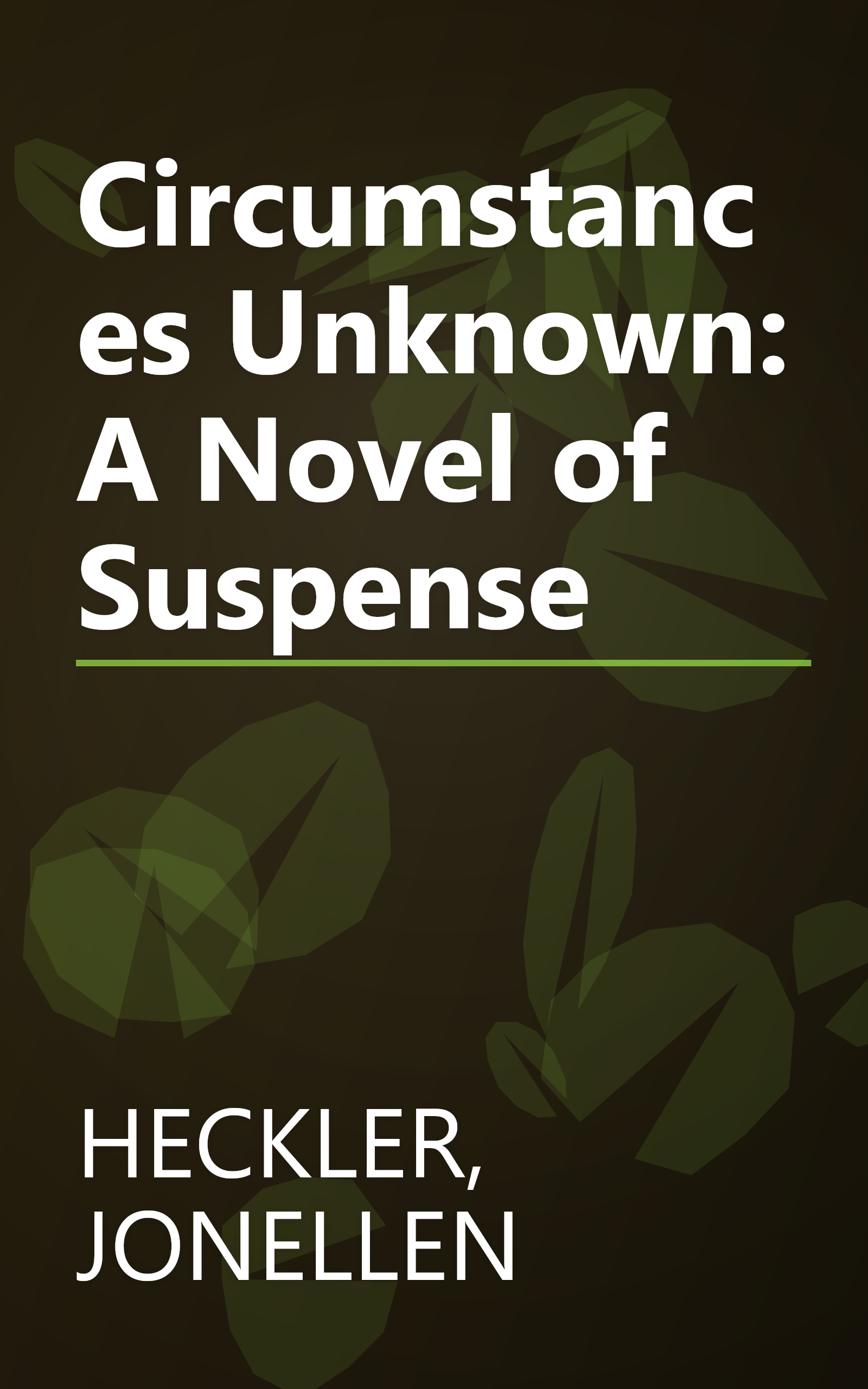Circumstances Unknown: A Novel of Suspense book cover