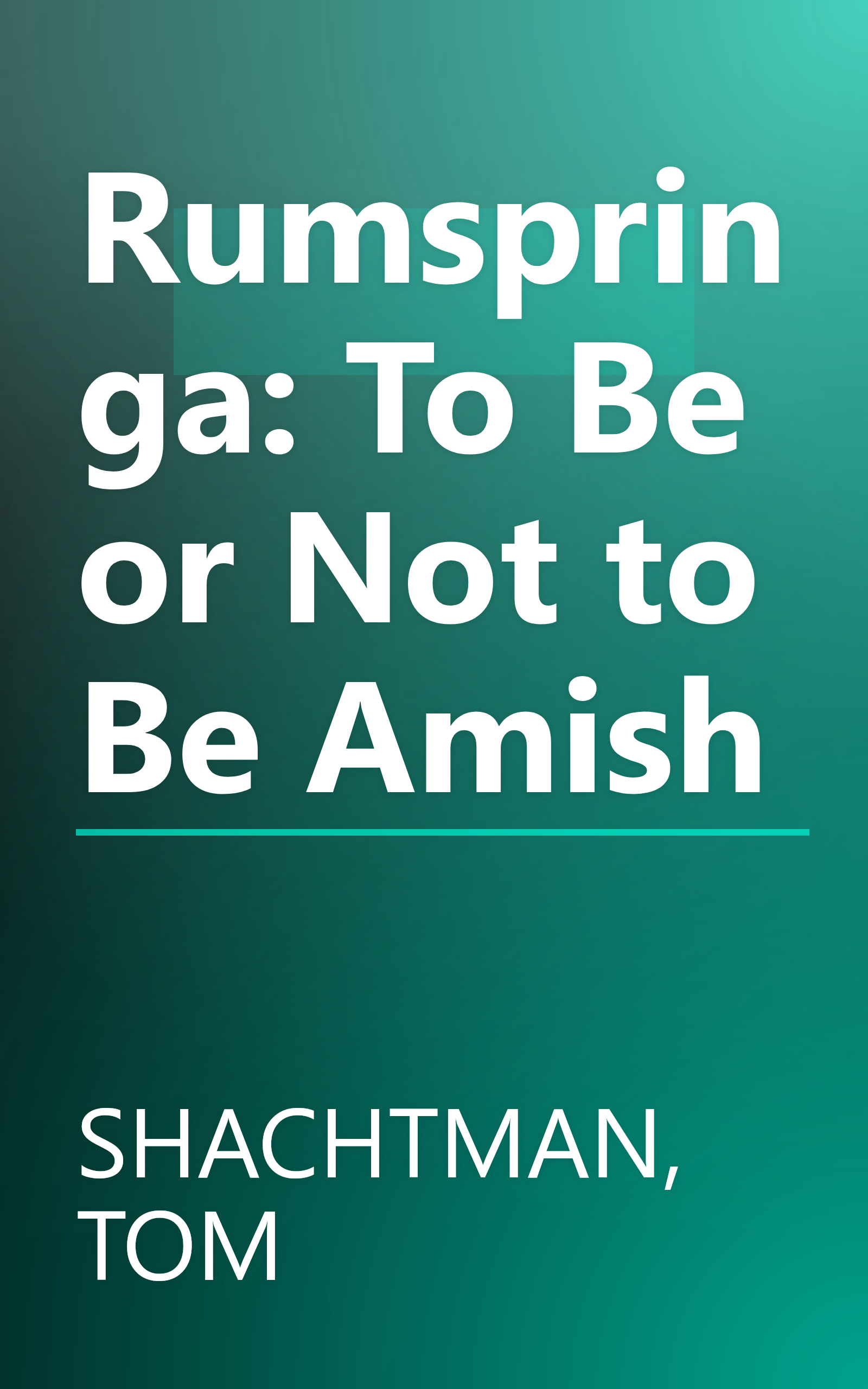 Rumspringa: To Be or Not to Be Amish book cover