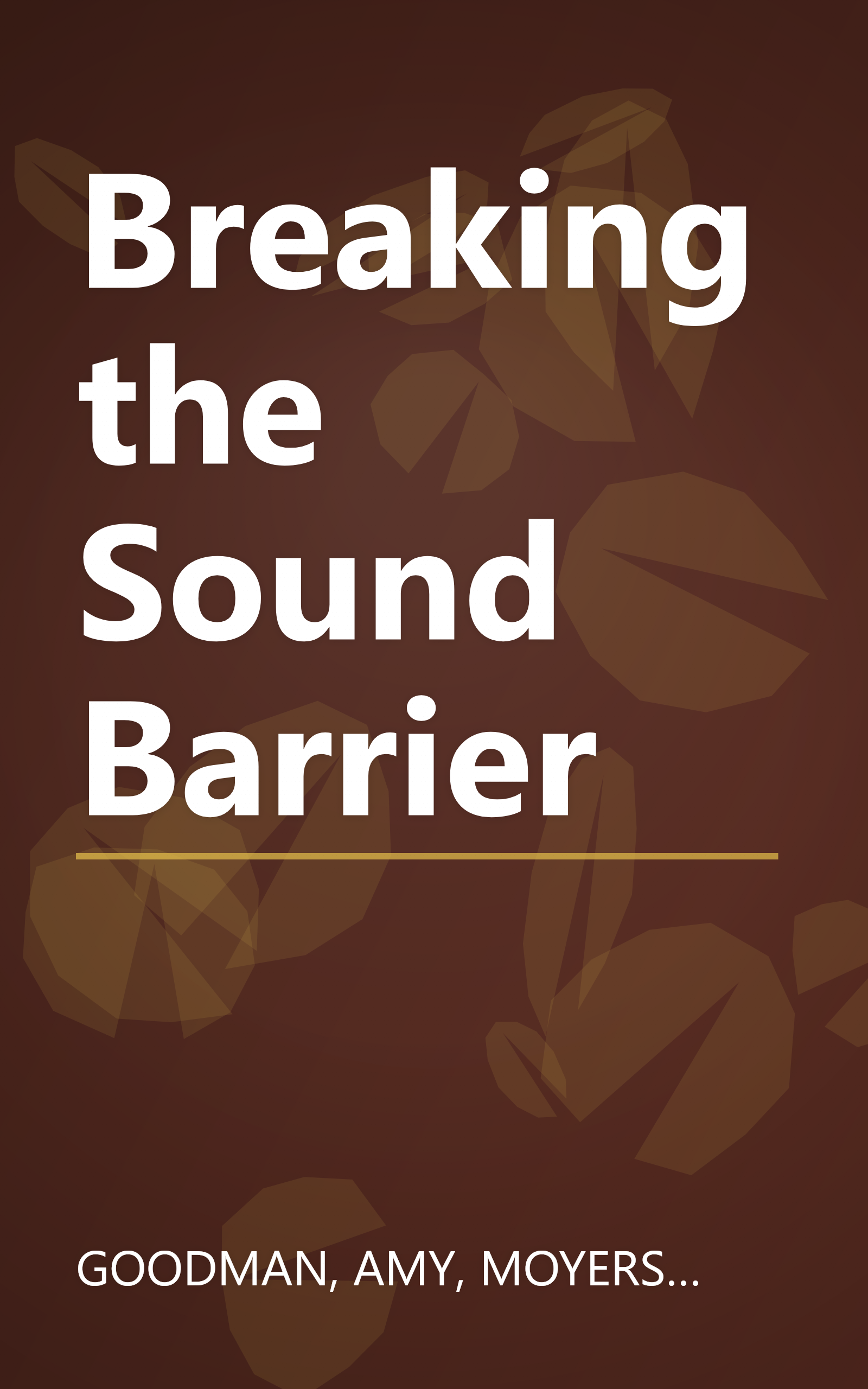 Breaking the Sound Barrier book cover