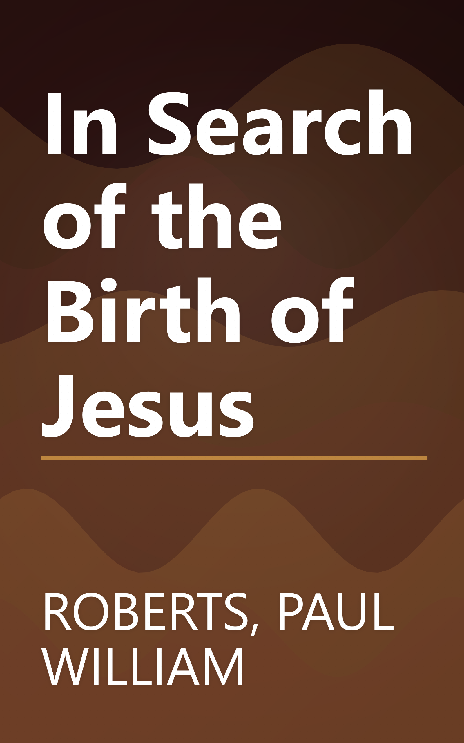 In Search of the Birth of Jesus book cover