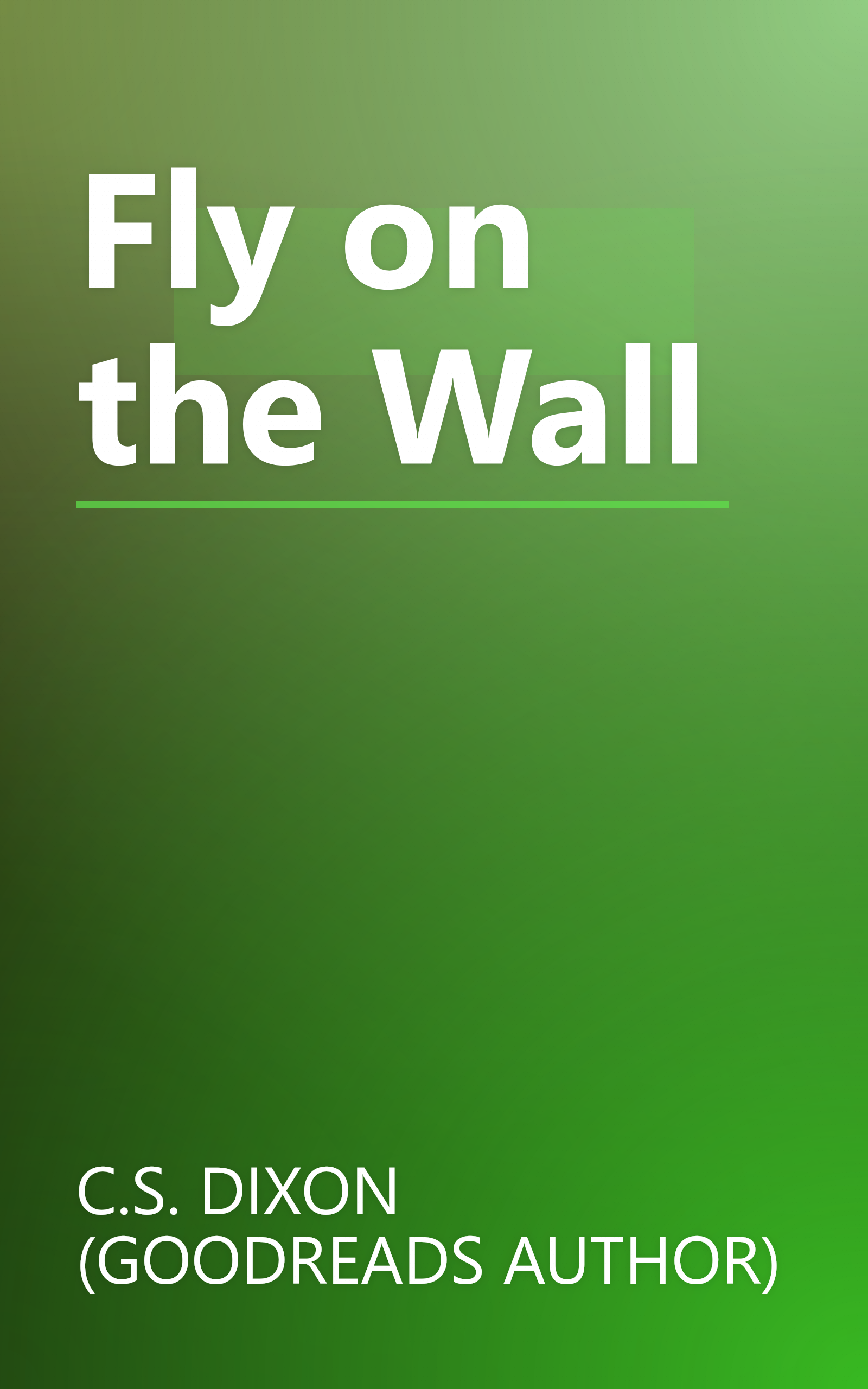 Fly on the Wall book cover