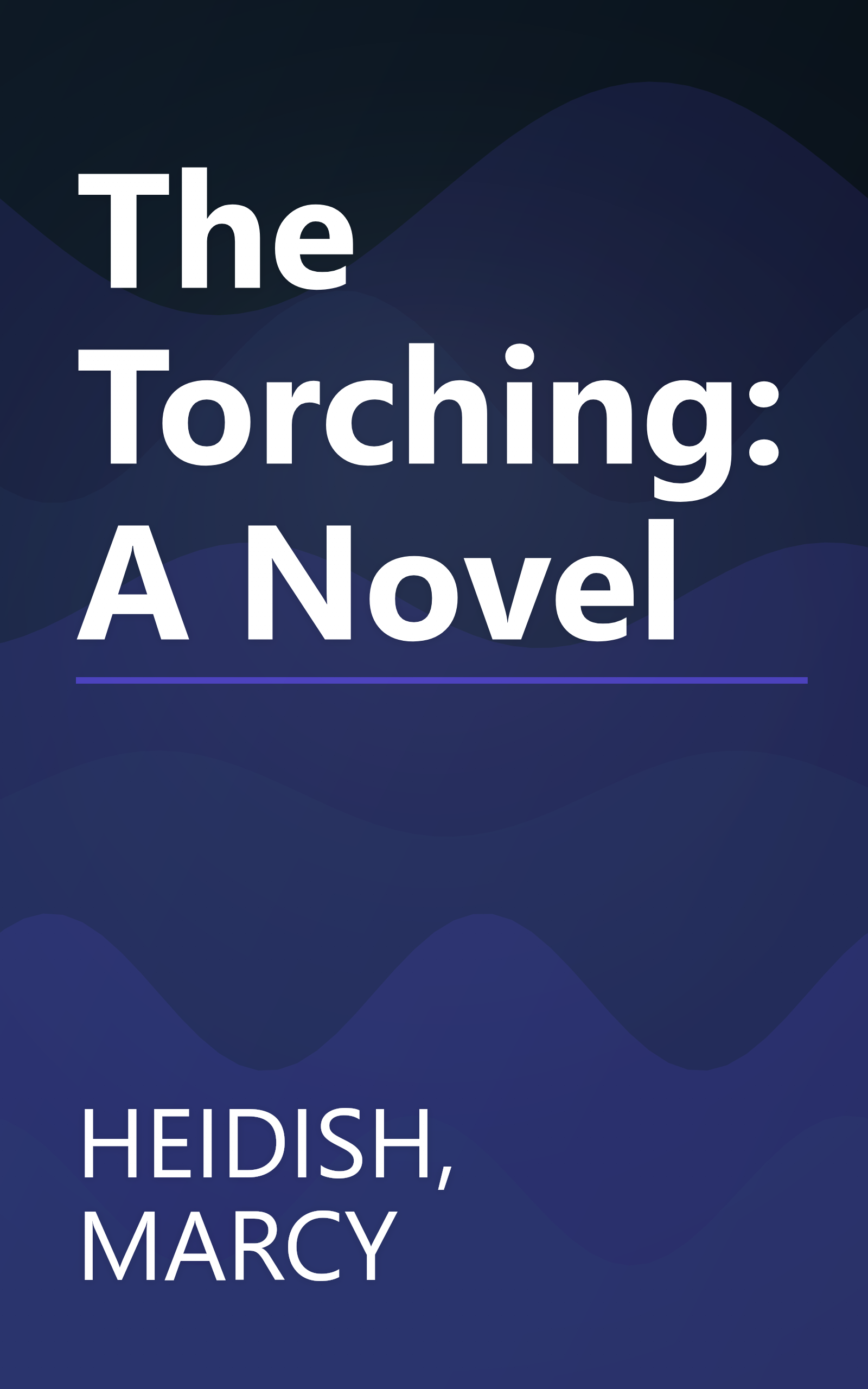 The Torching: A Novel book cover