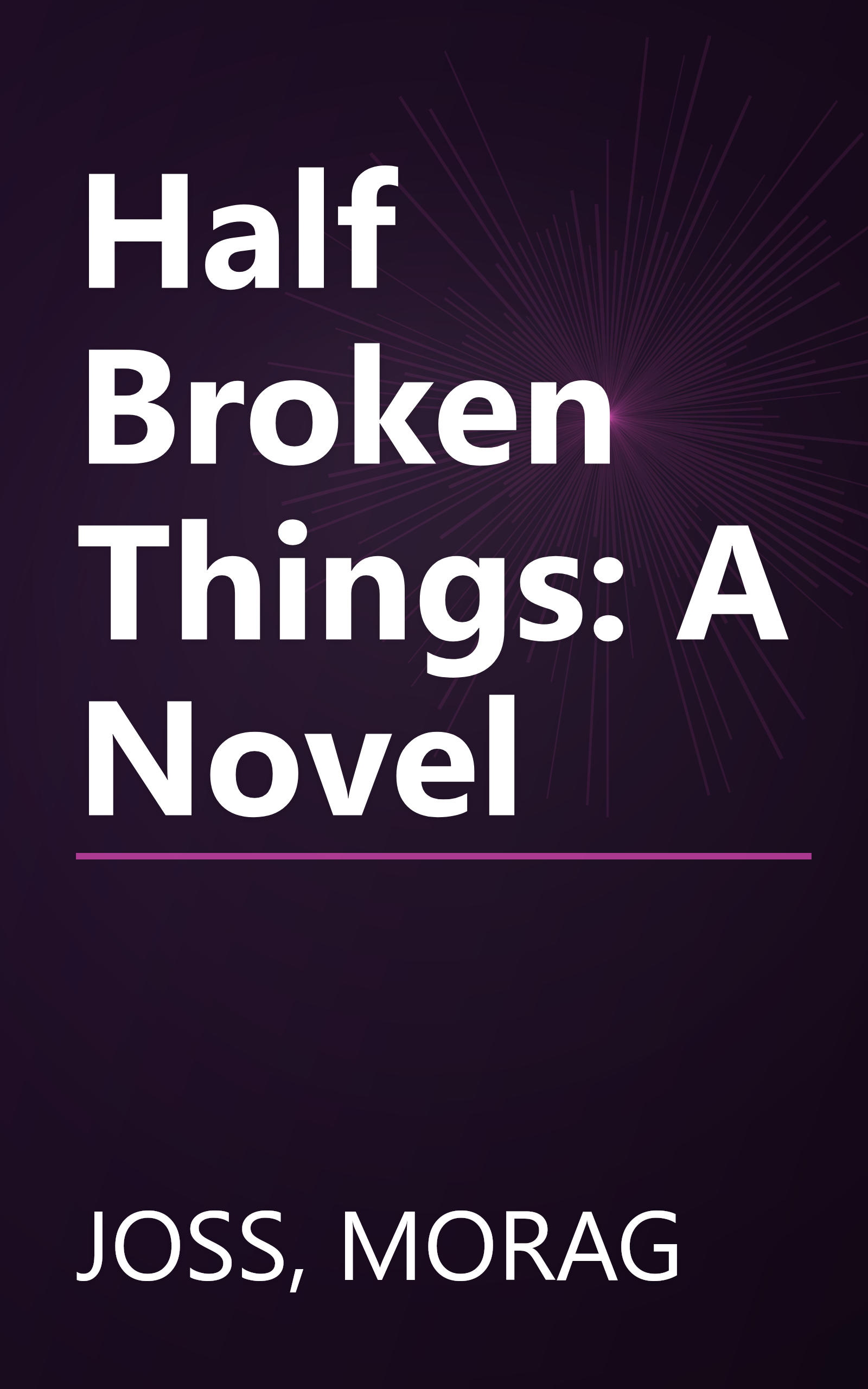 Half Broken Things: A Novel book cover