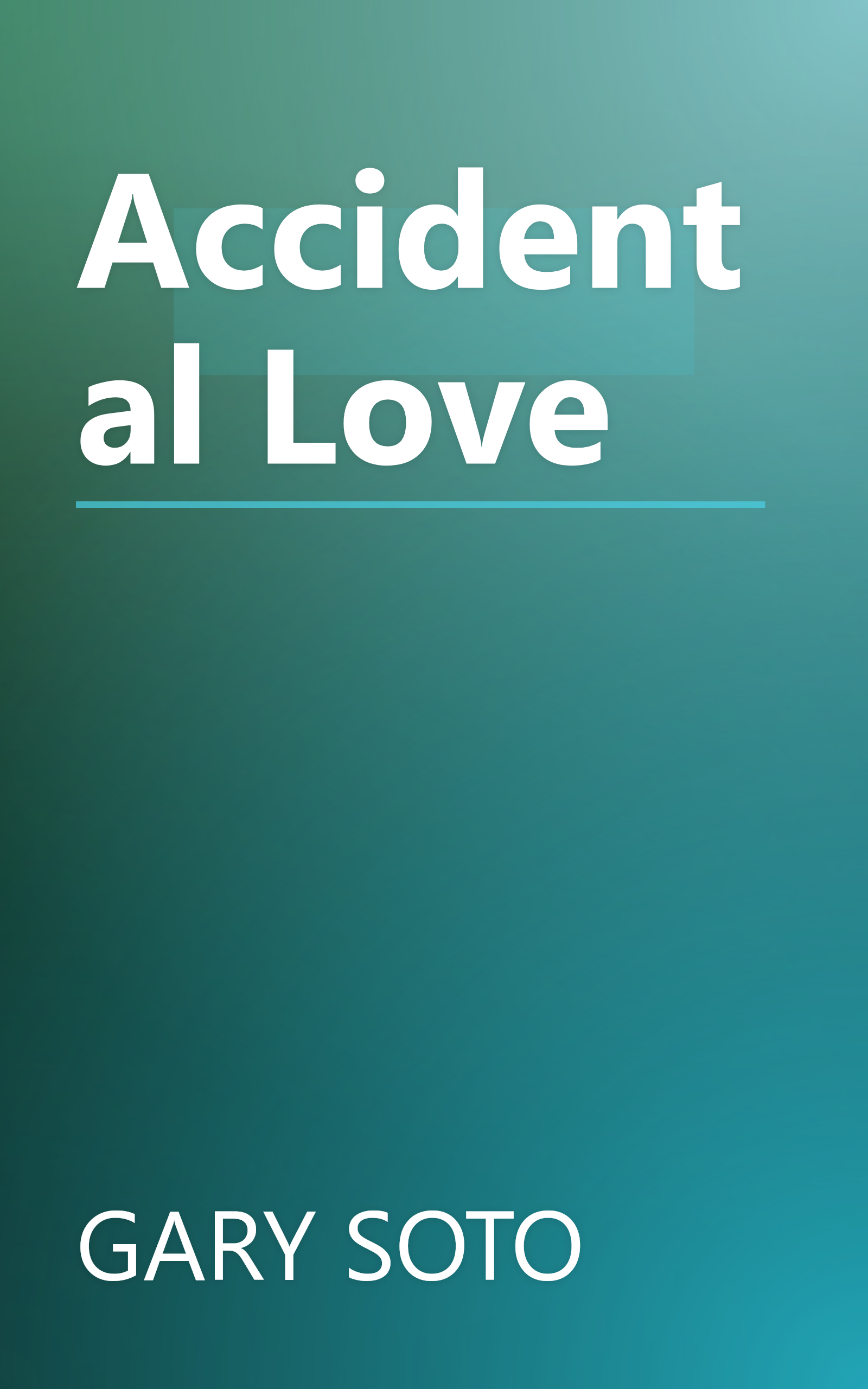 Accidental Love book cover
