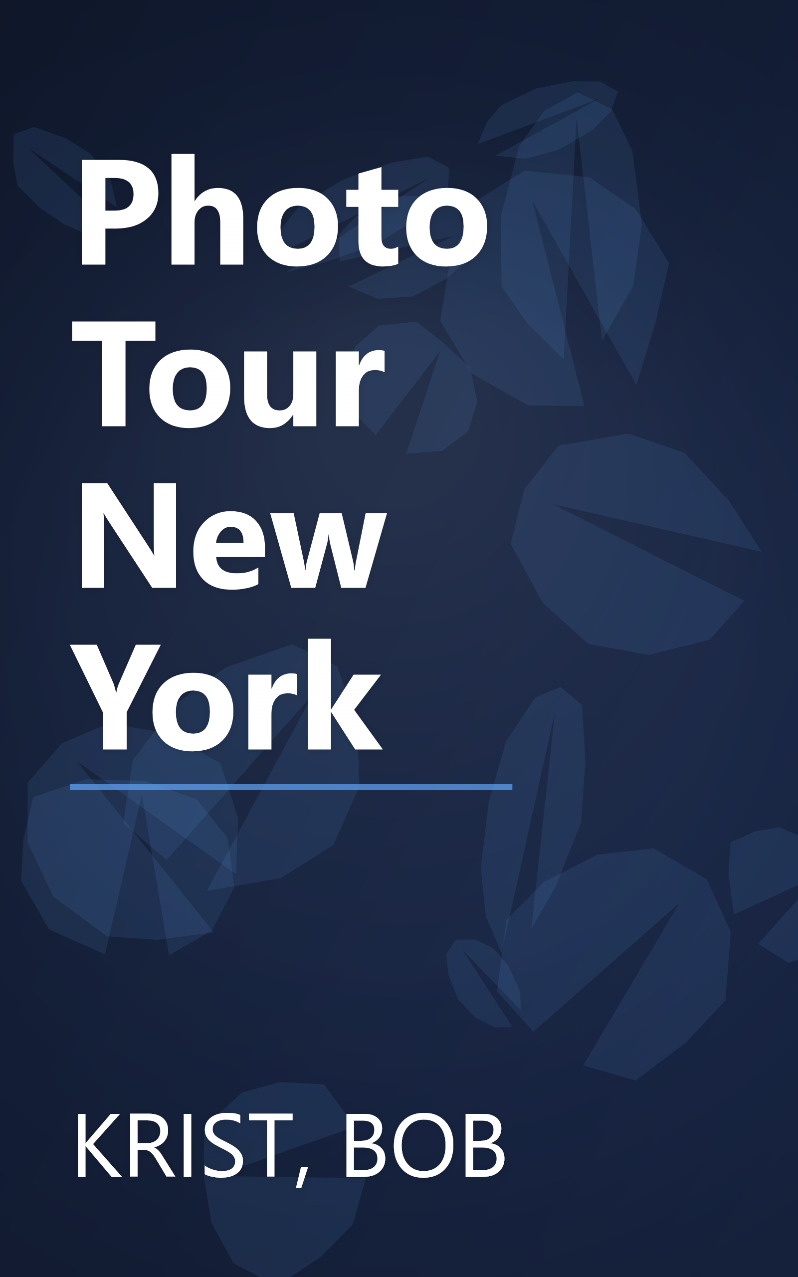 Photo Tour New York book cover