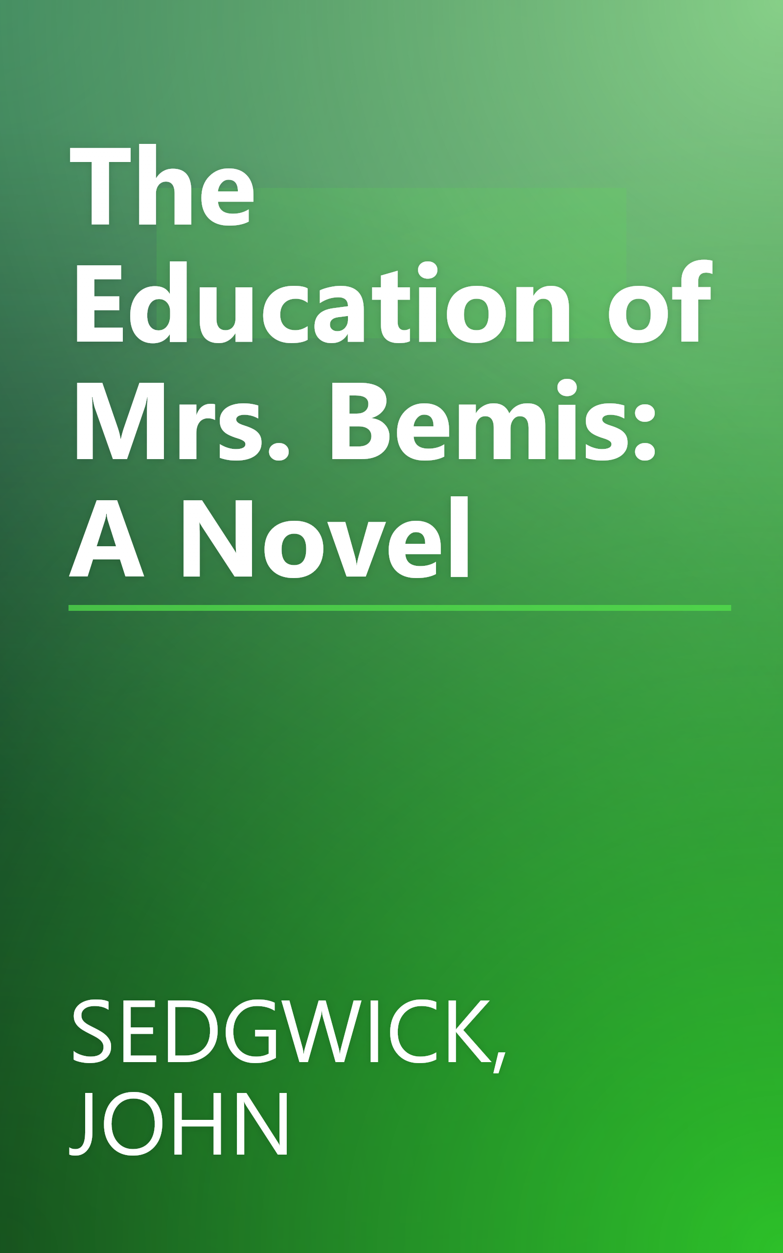 The Education of Mrs. Bemis: A Novel book cover