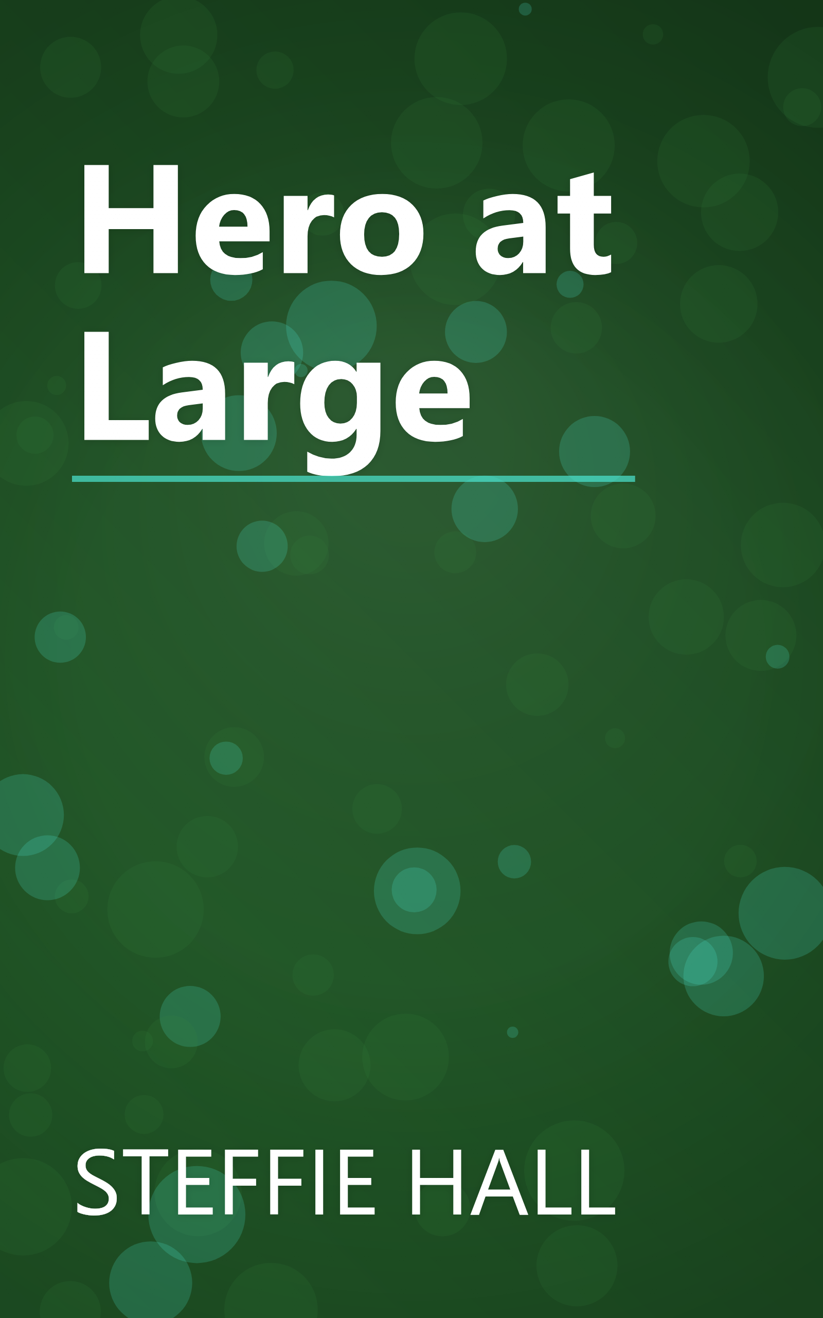 Hero at Large book cover