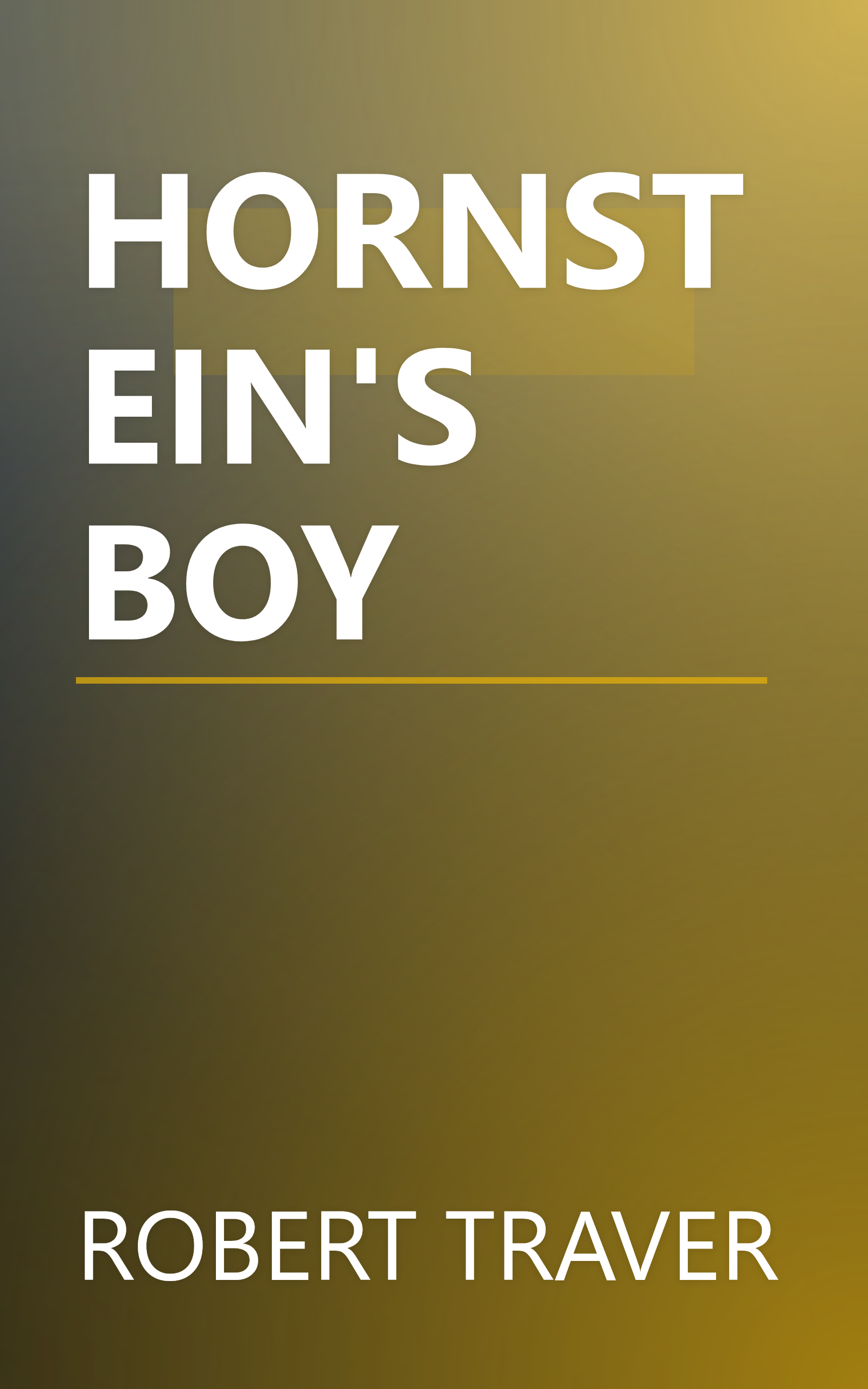 HORNSTEIN'S BOY book cover