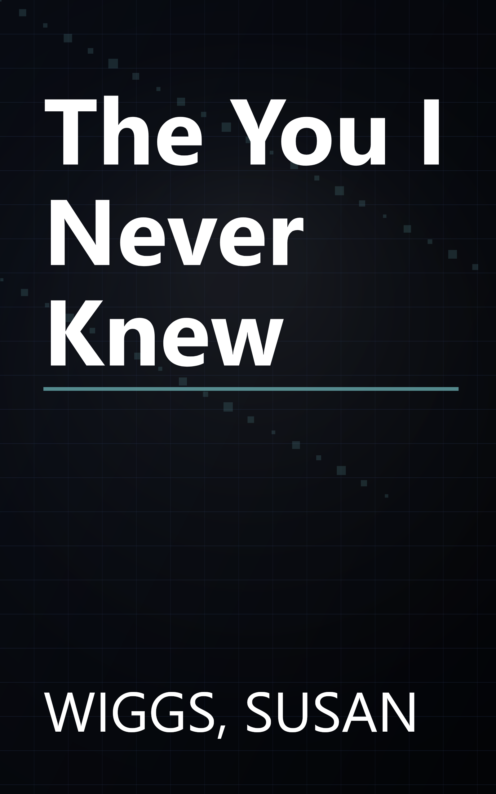 The You I Never Knew book cover