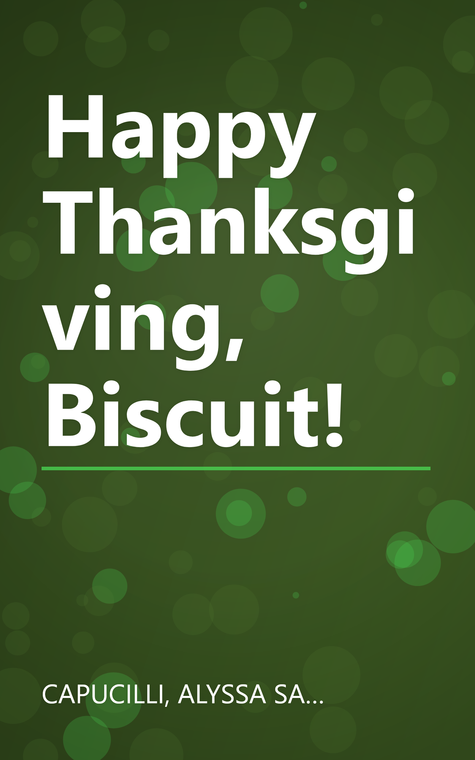 Happy Thanksgiving, Biscuit! book cover