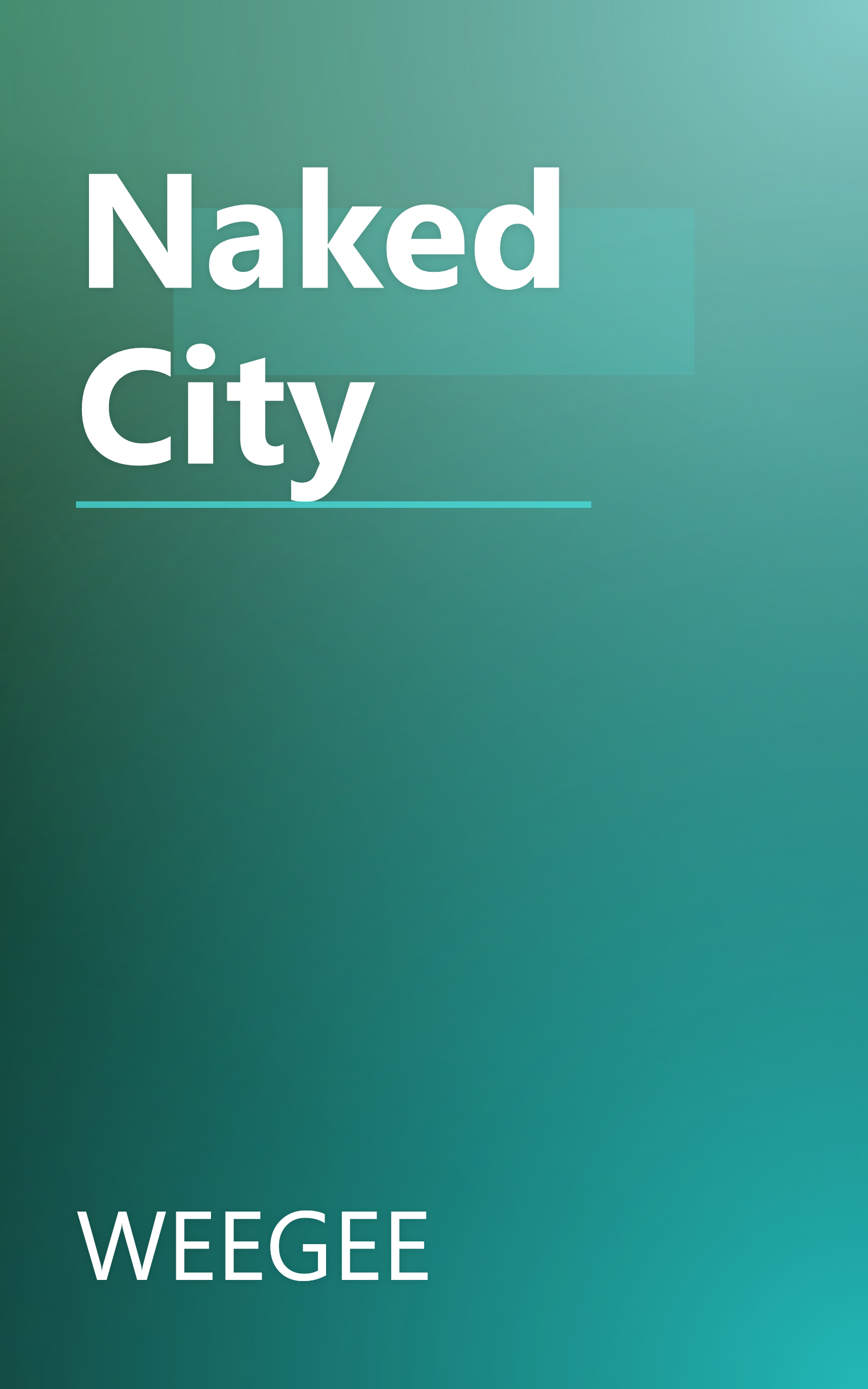 Naked City book cover