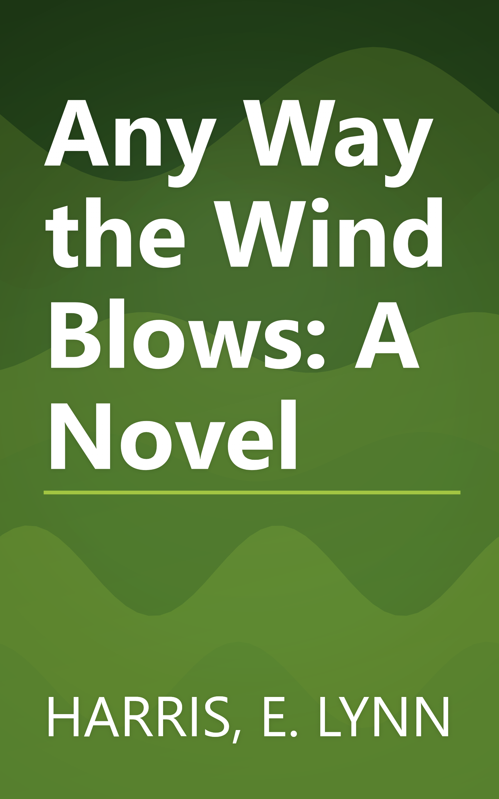 Any Way the Wind Blows: A Novel book cover