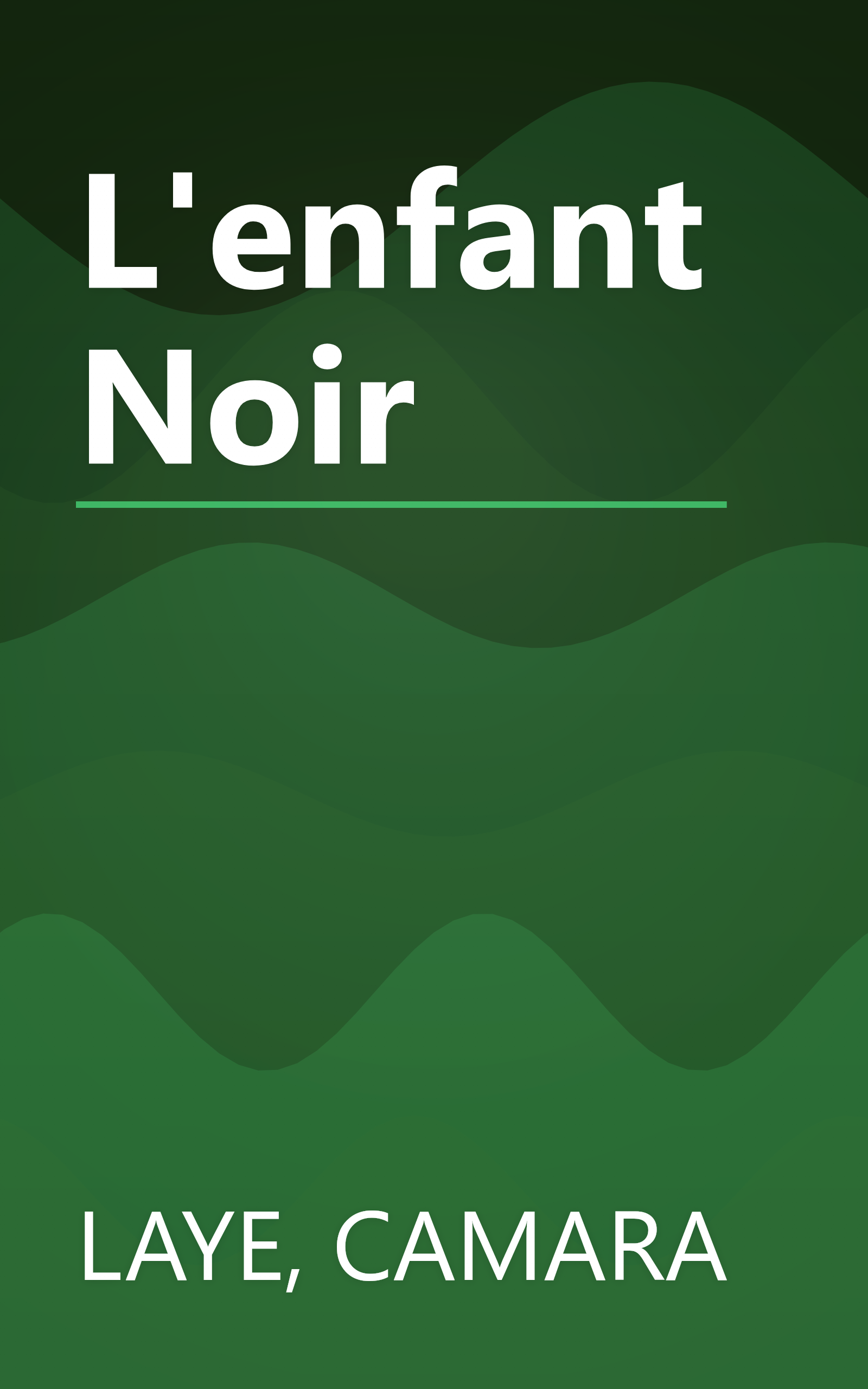 L'enfant Noir book cover