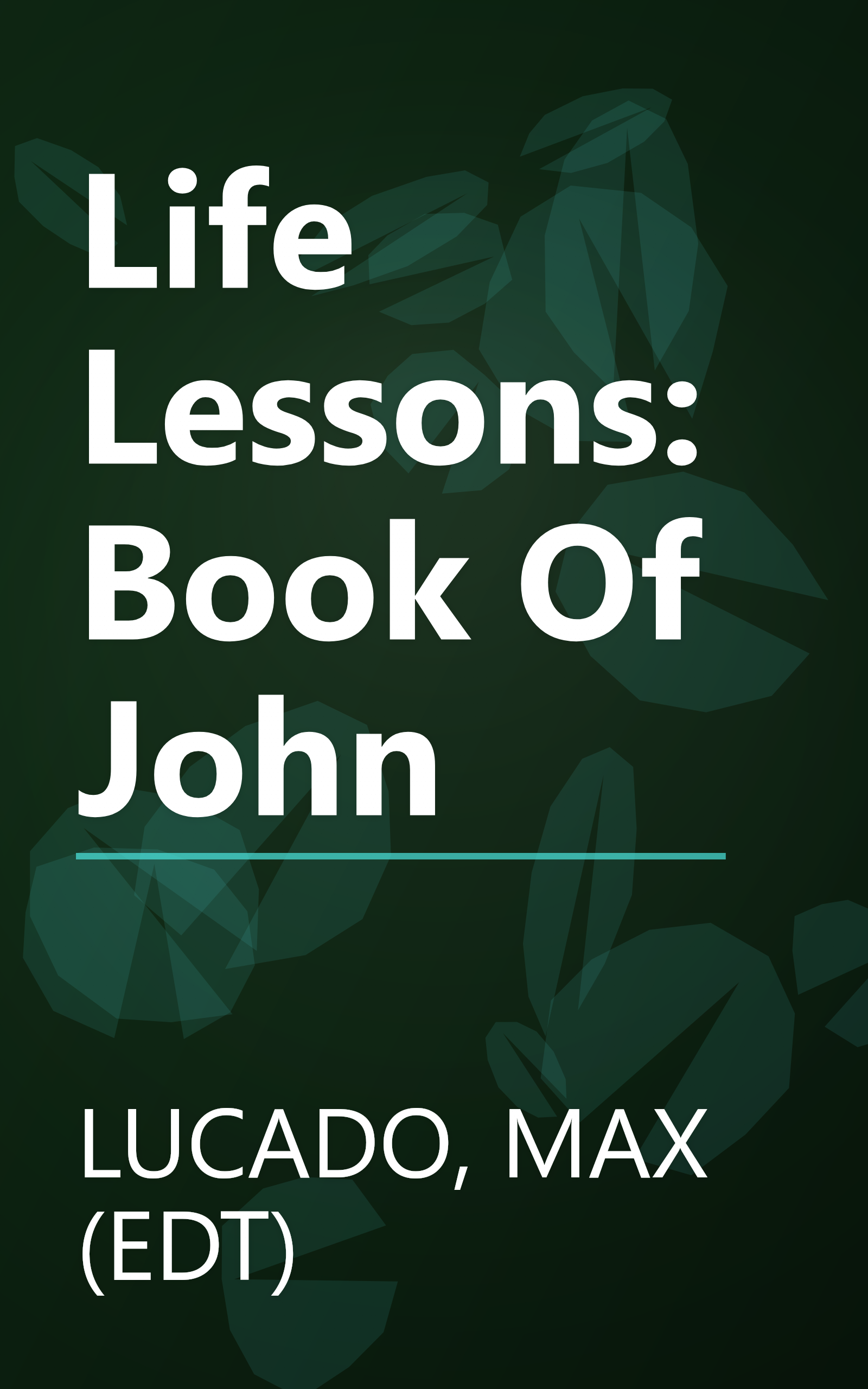 Life Lessons: Book Of John book cover
