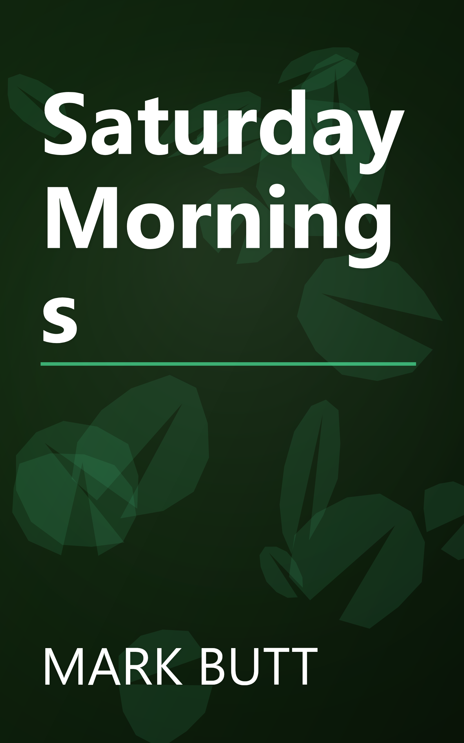 Saturday Mornings book cover