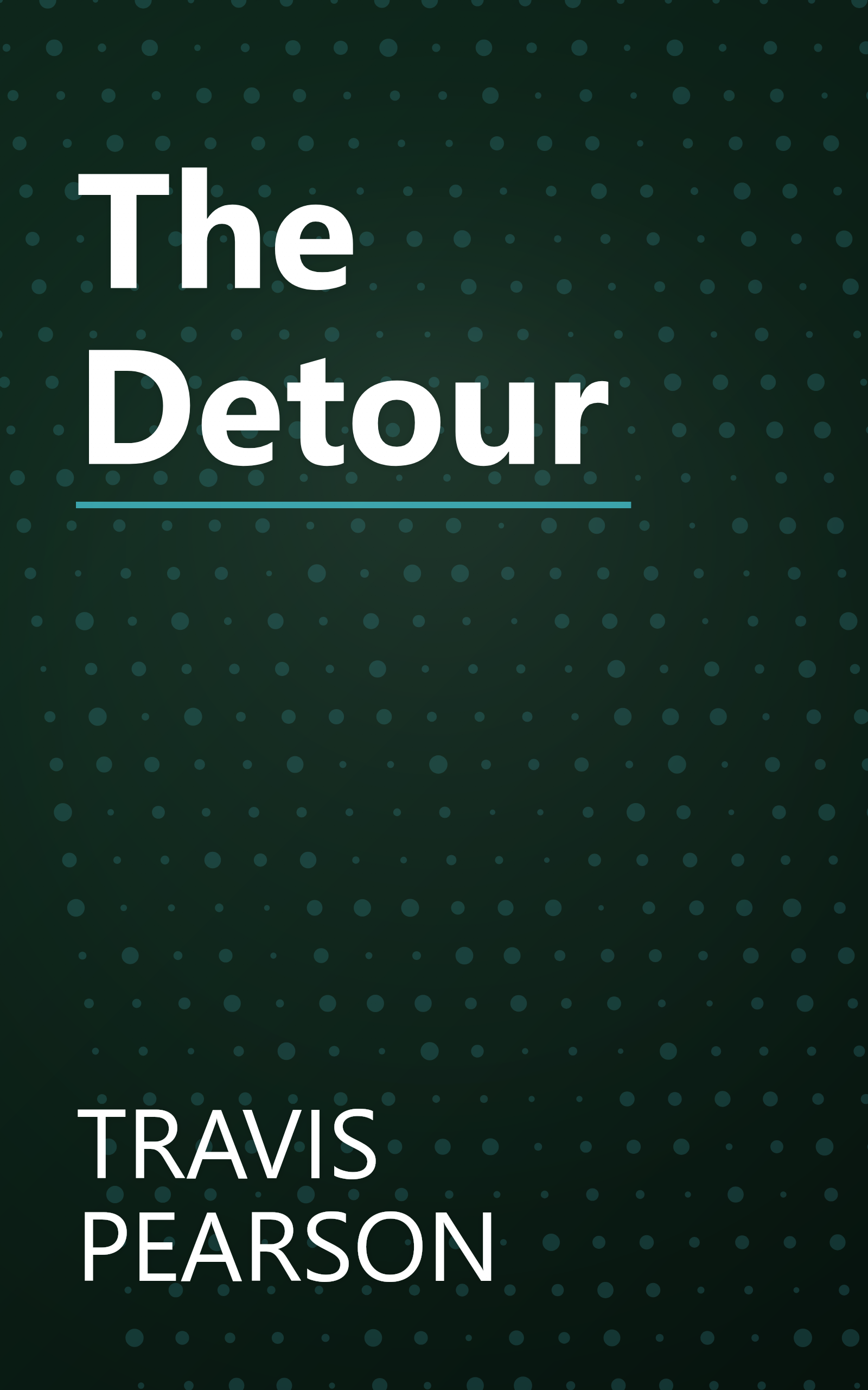 The Detour book cover