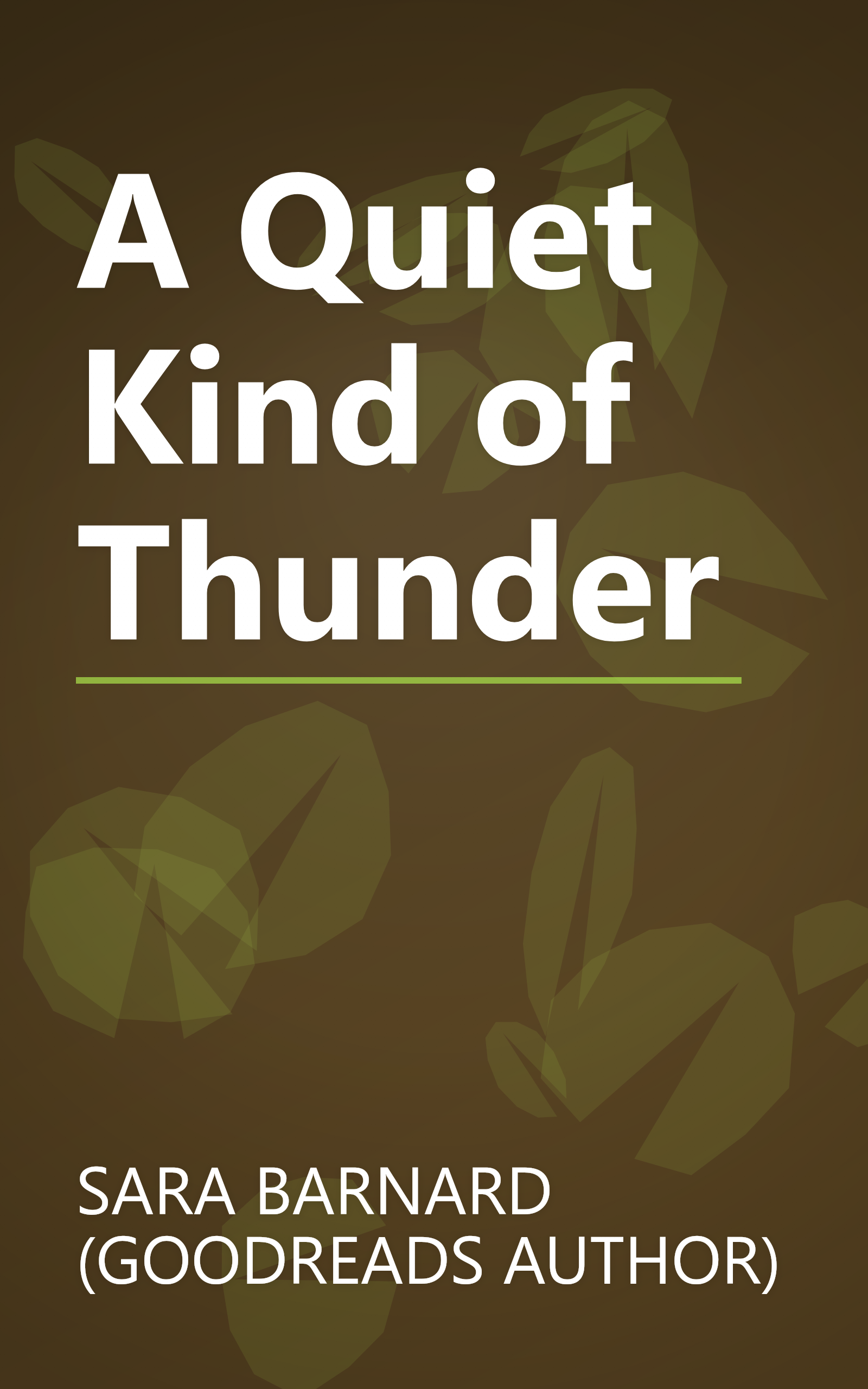 A Quiet Kind of Thunder book cover