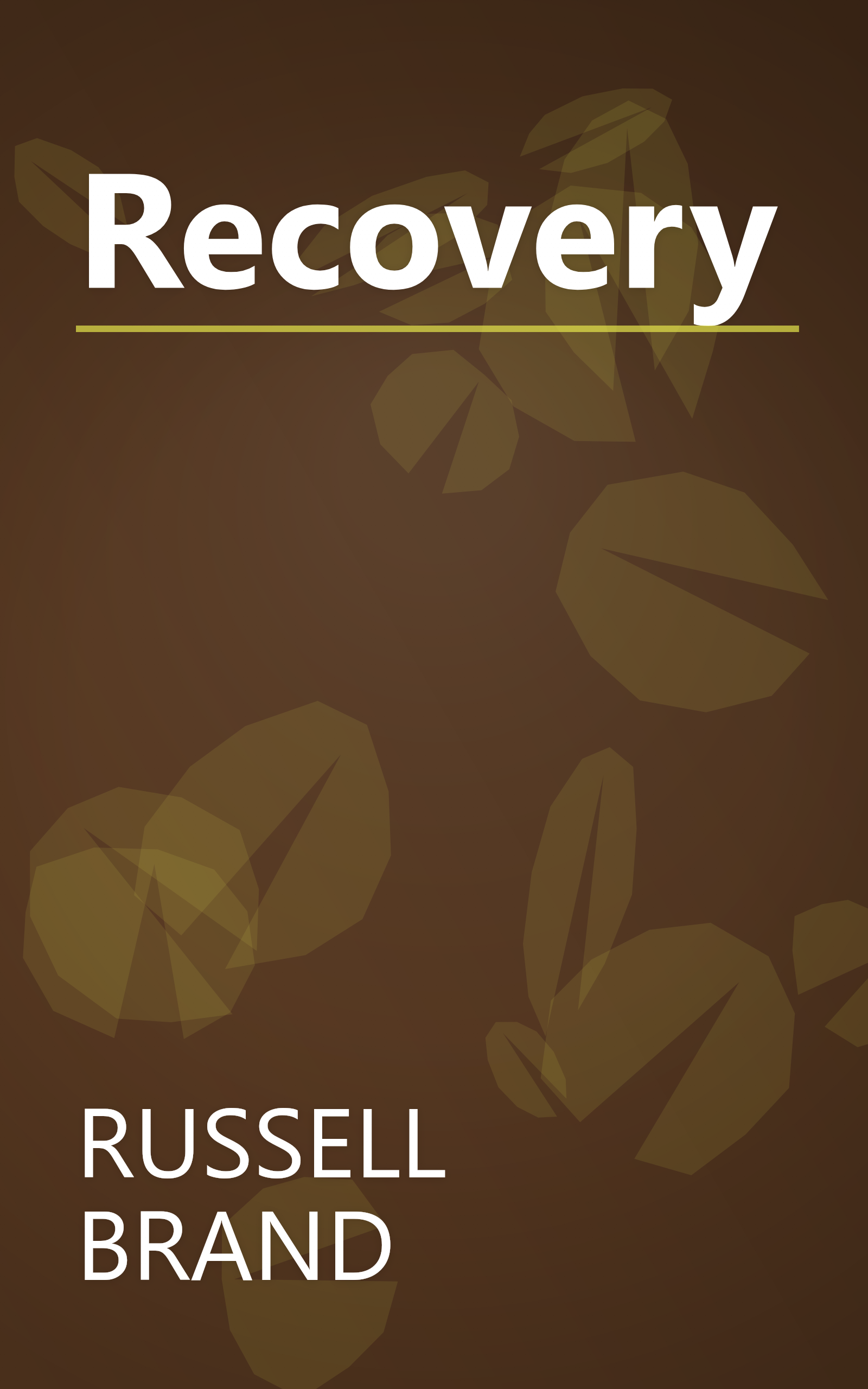 Recovery book cover