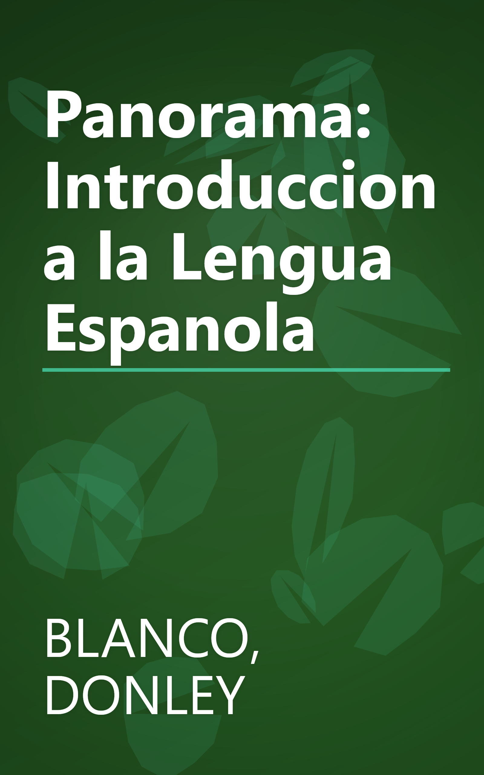 Panorama: Introduccion a la Lengua Espanola book cover