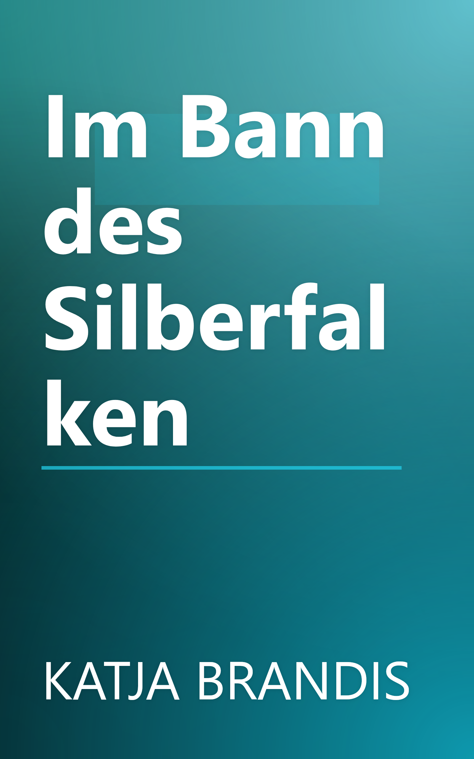 Im Bann des Silberfalken book cover