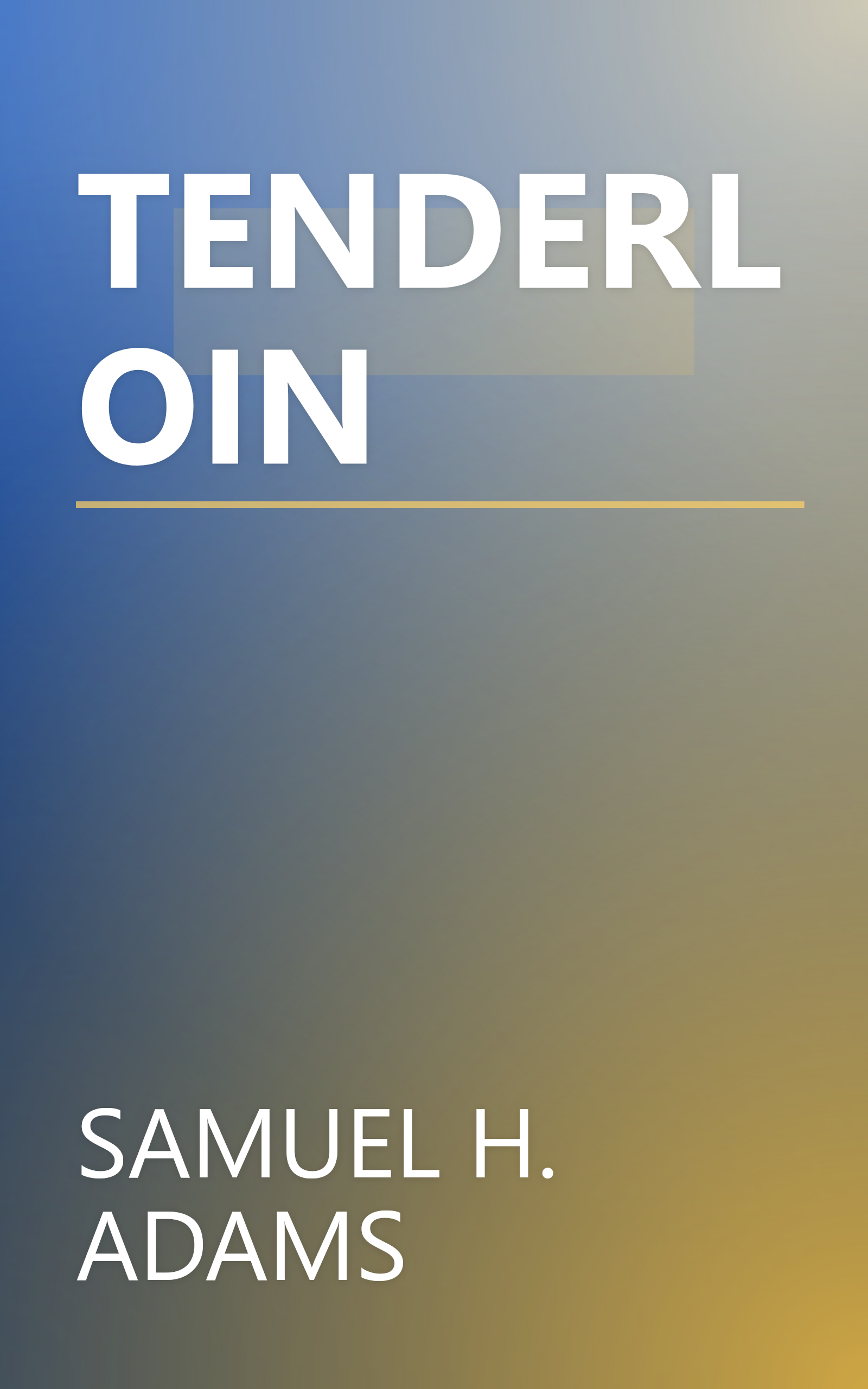 TENDERLOIN book cover
