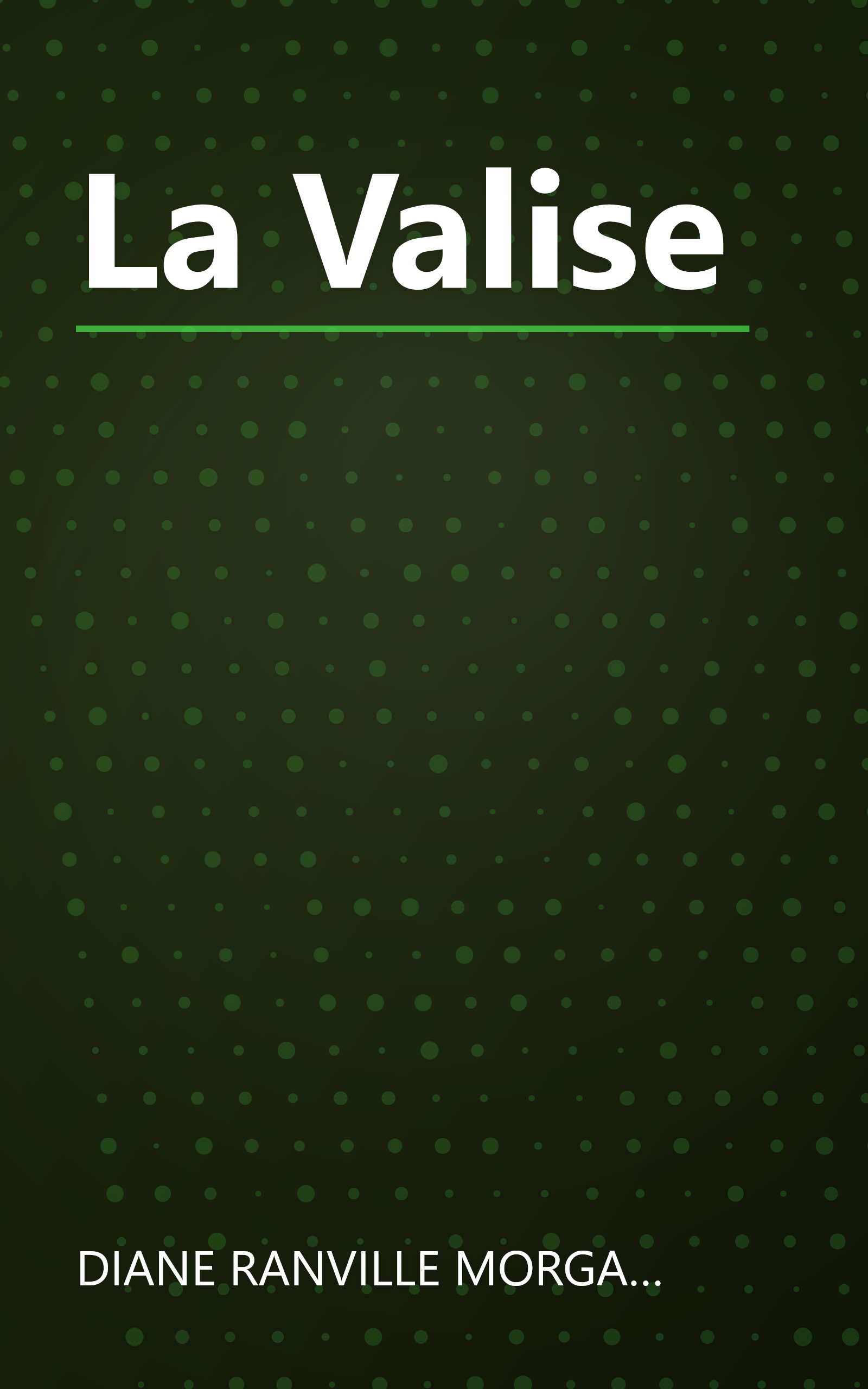 La Valise book cover