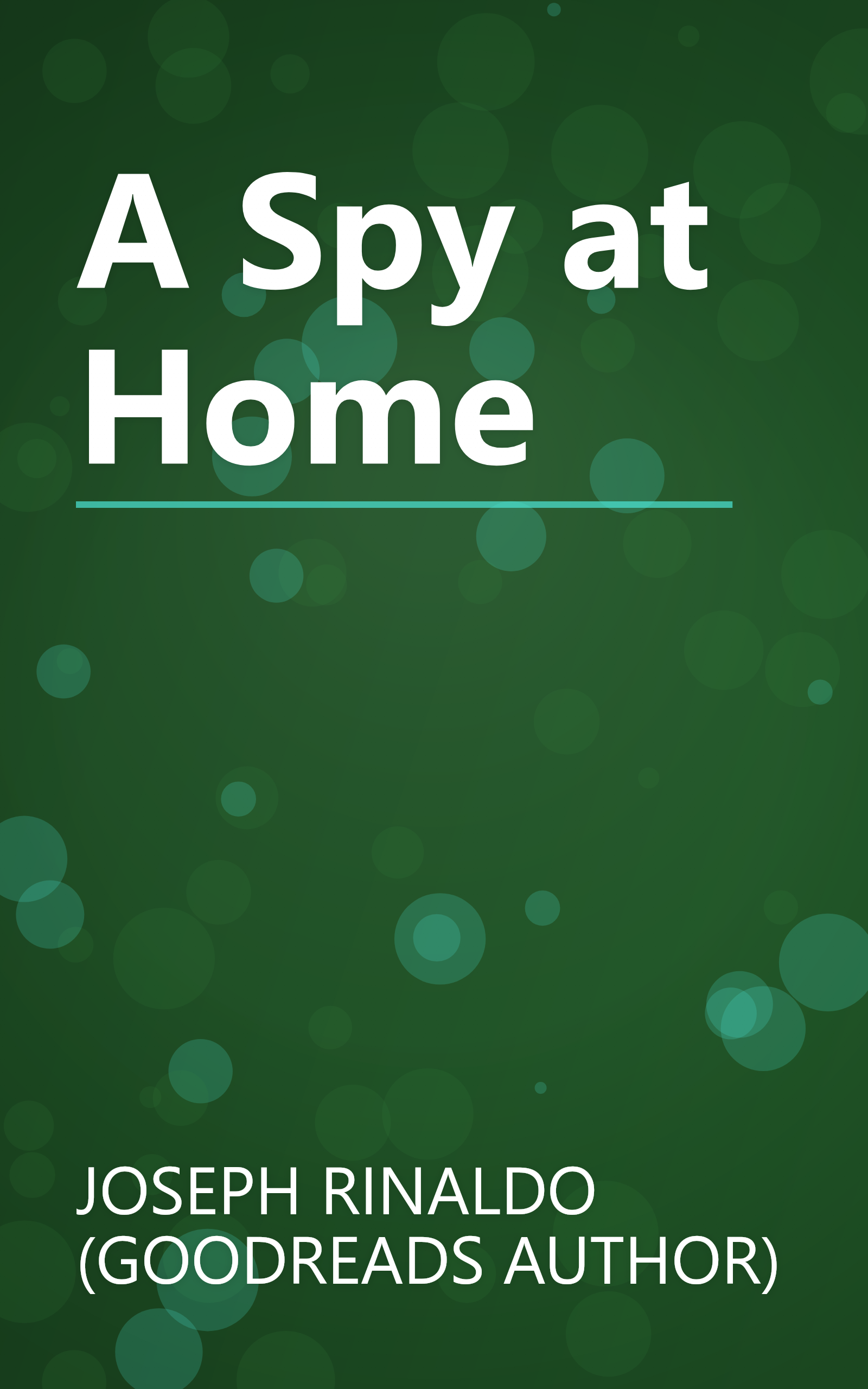 A Spy at Home book cover
