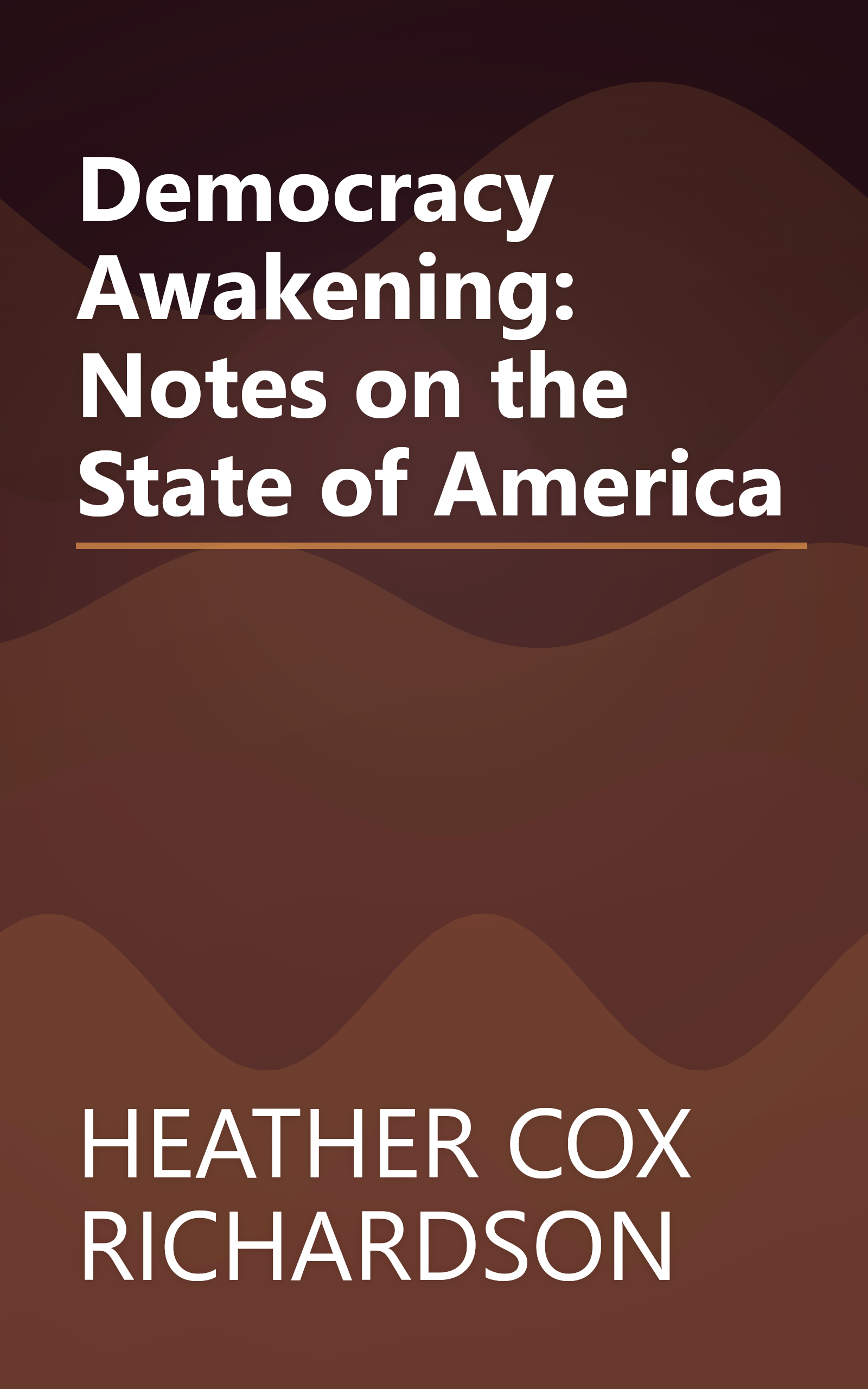 Democracy Awakening: Notes on the State of America book cover
